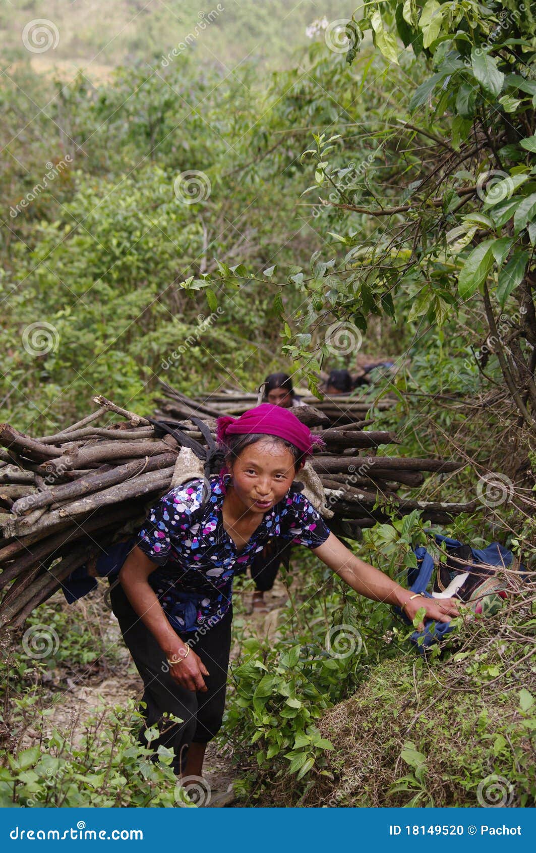 Drudgery of wood editorial image. Image of diversity - 18149520