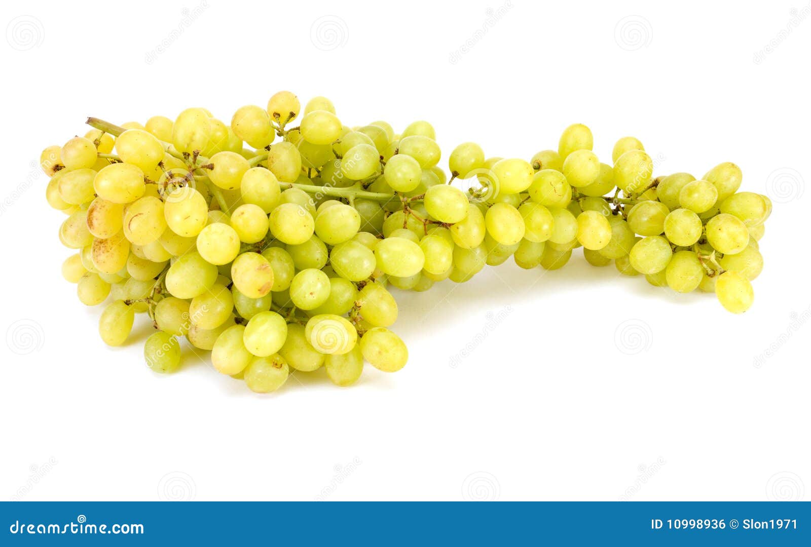 Druif stock foto. Image of groen, gezond, sappig, vrucht - 10998936