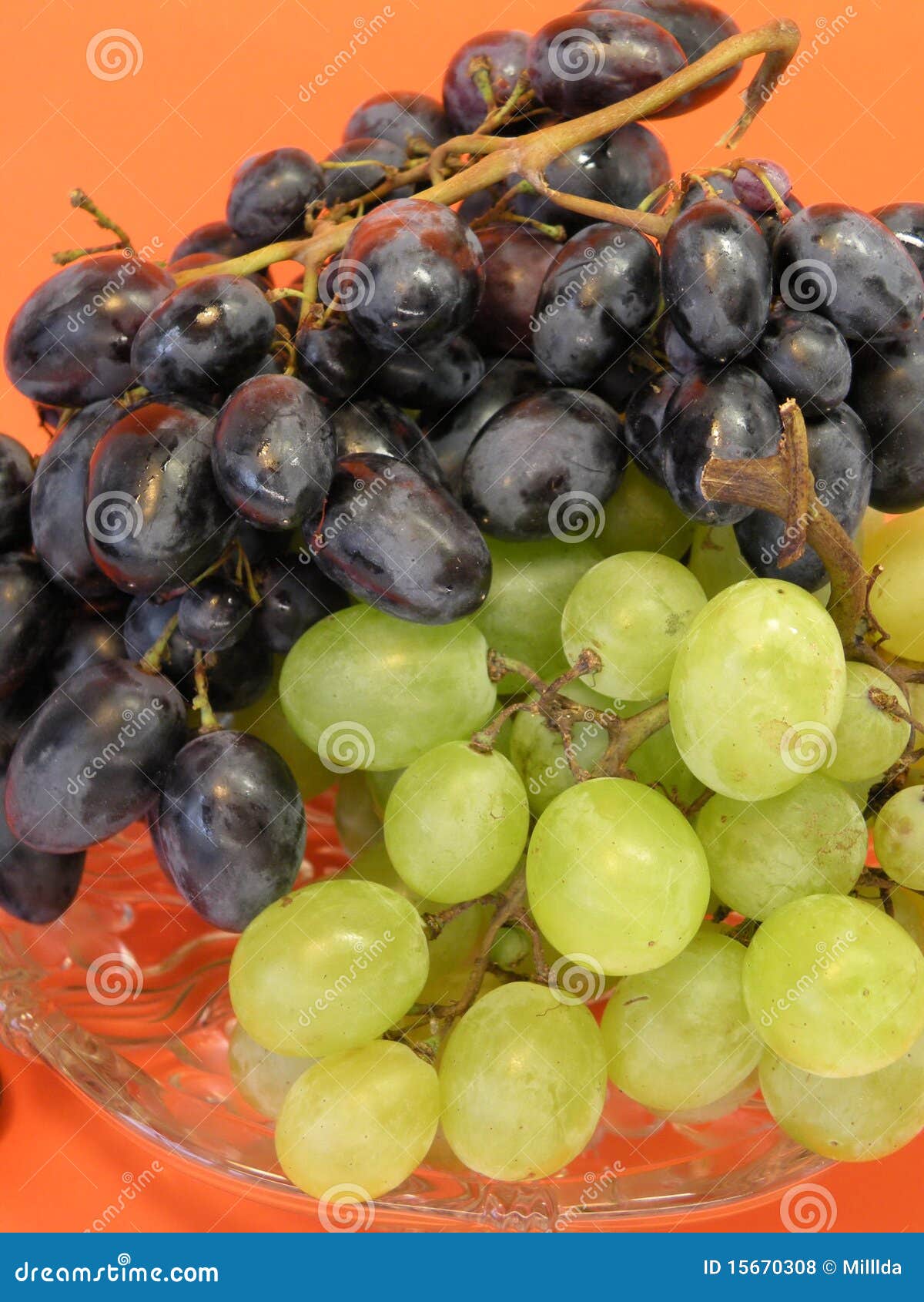 Druif stock foto. Image of sluit, vitamine, landbouw - 15670308