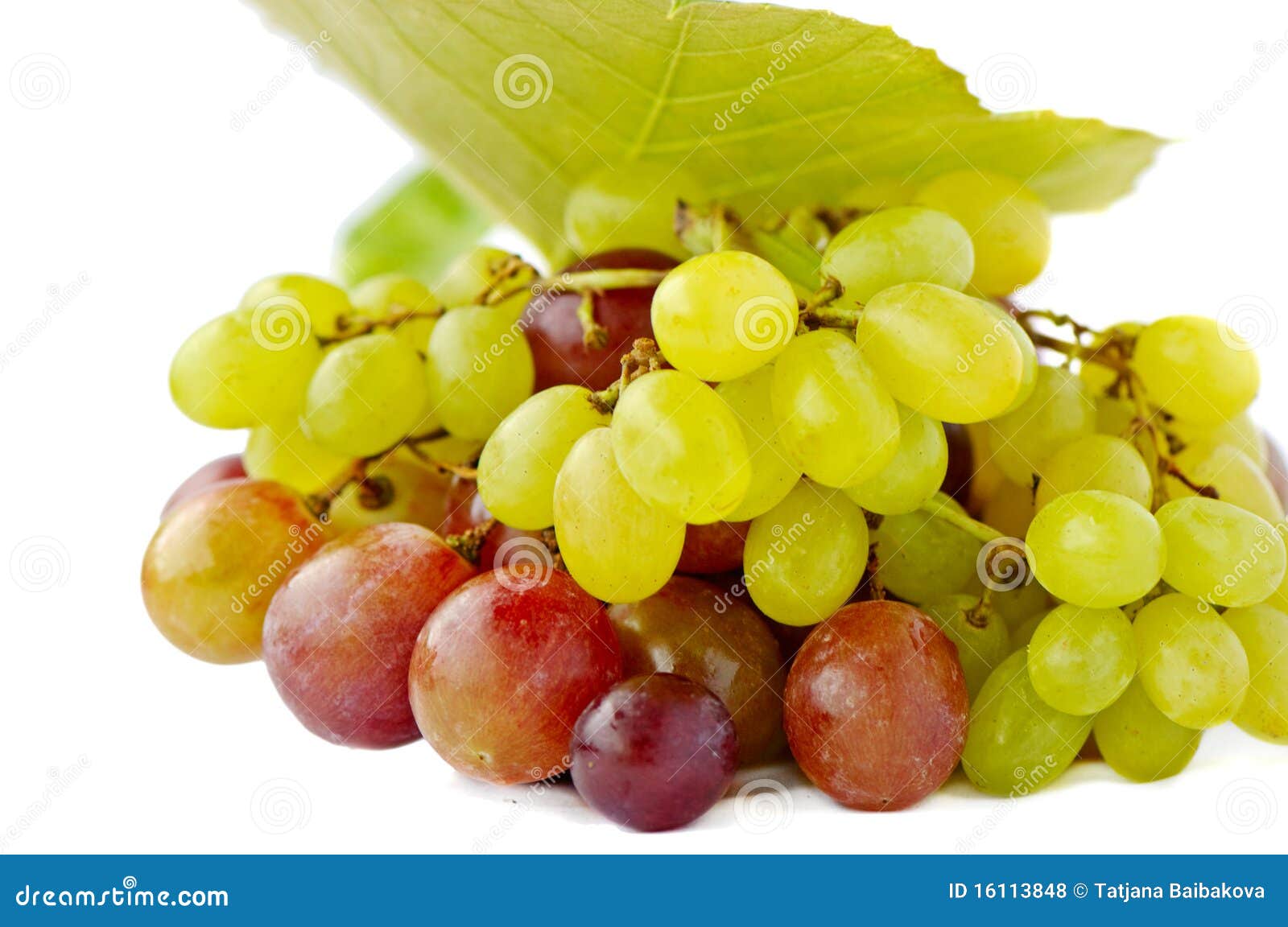 Druif stock foto. Image of vitamine, geïsoleerd, vrucht - 16113848