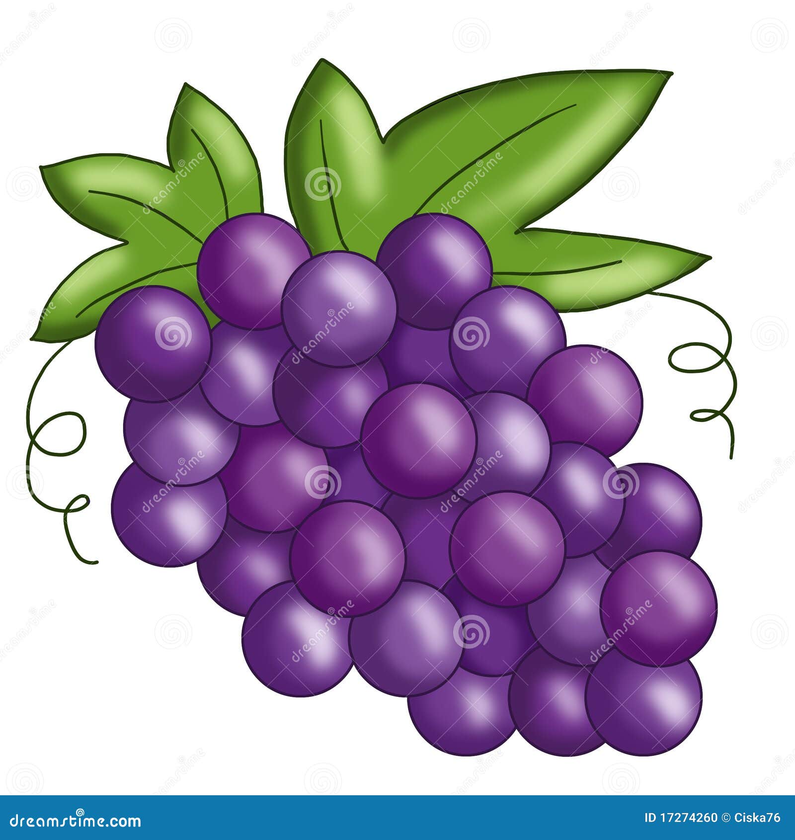 Druif stock illustratie. Illustratie bestaande uit opbrengsten - 17274260