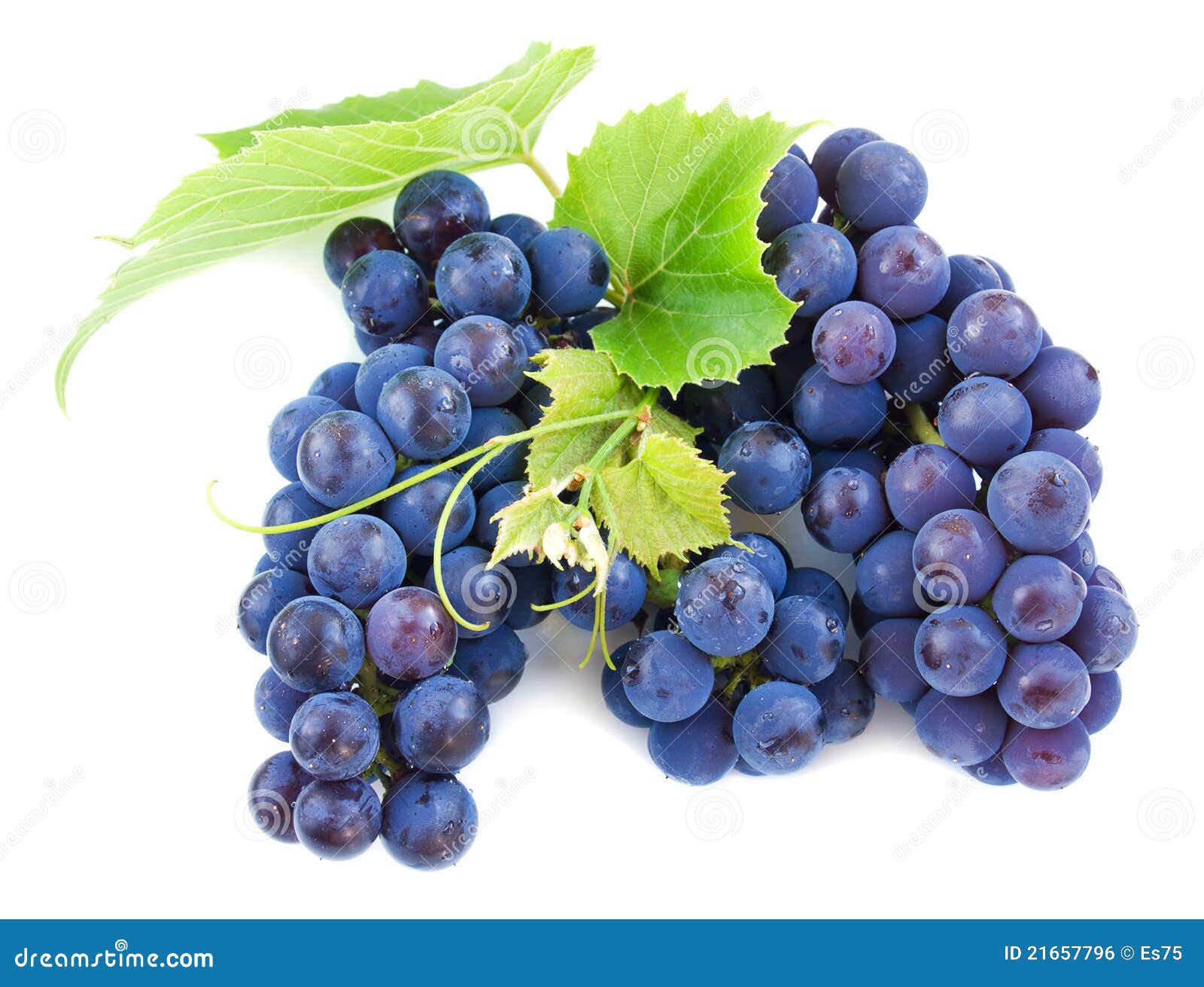 Druif stock foto. Image of vrucht, geïsoleerd, groen - 21657796