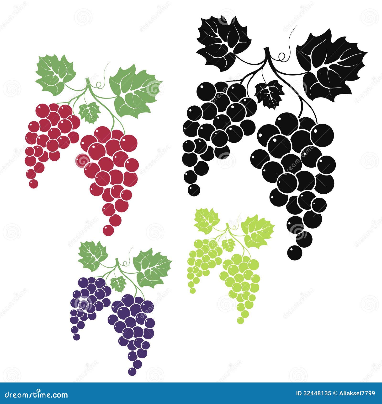 Druif vector illustratie. Illustration of voedsel, geïsoleerd - 32448135