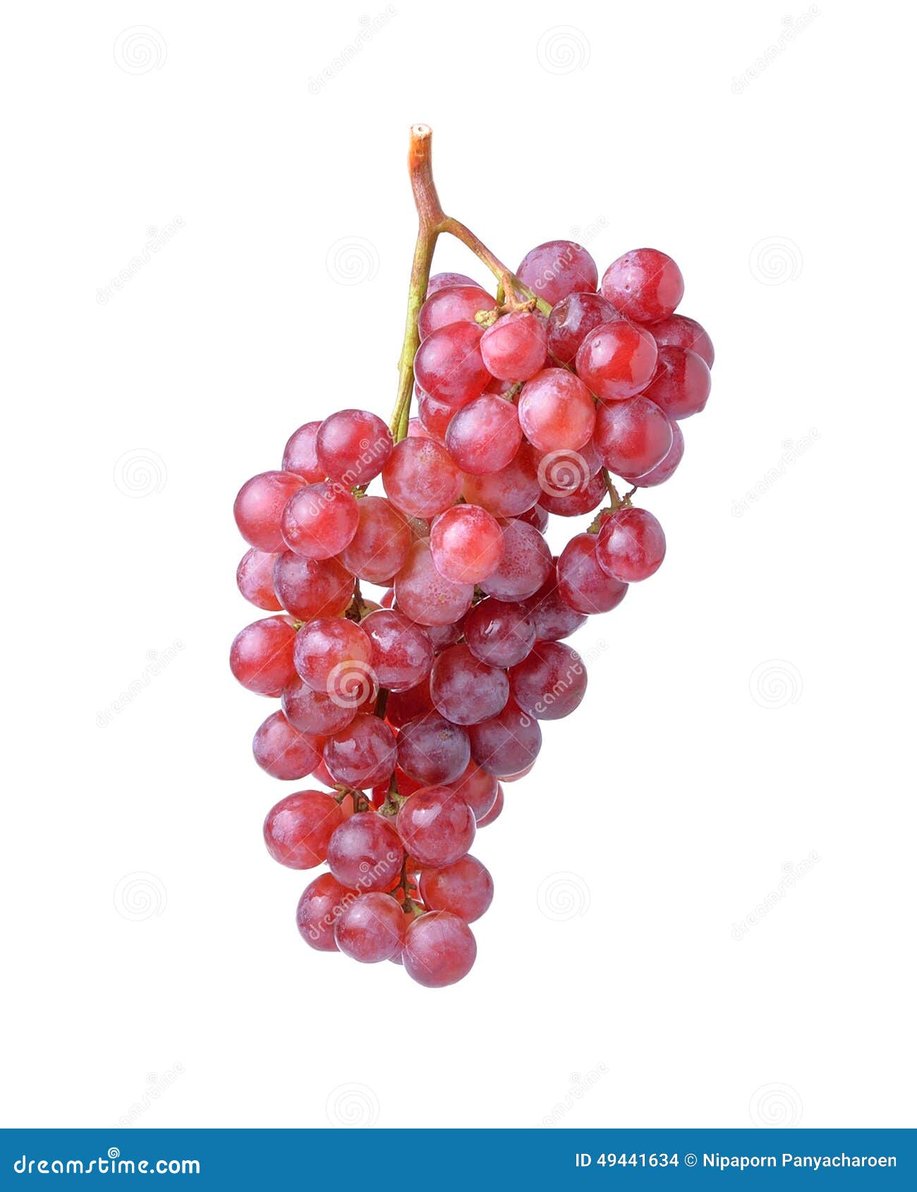 Druif stock foto. Image of vrucht, geïsoleerd, zoet, voedsel - 49441634