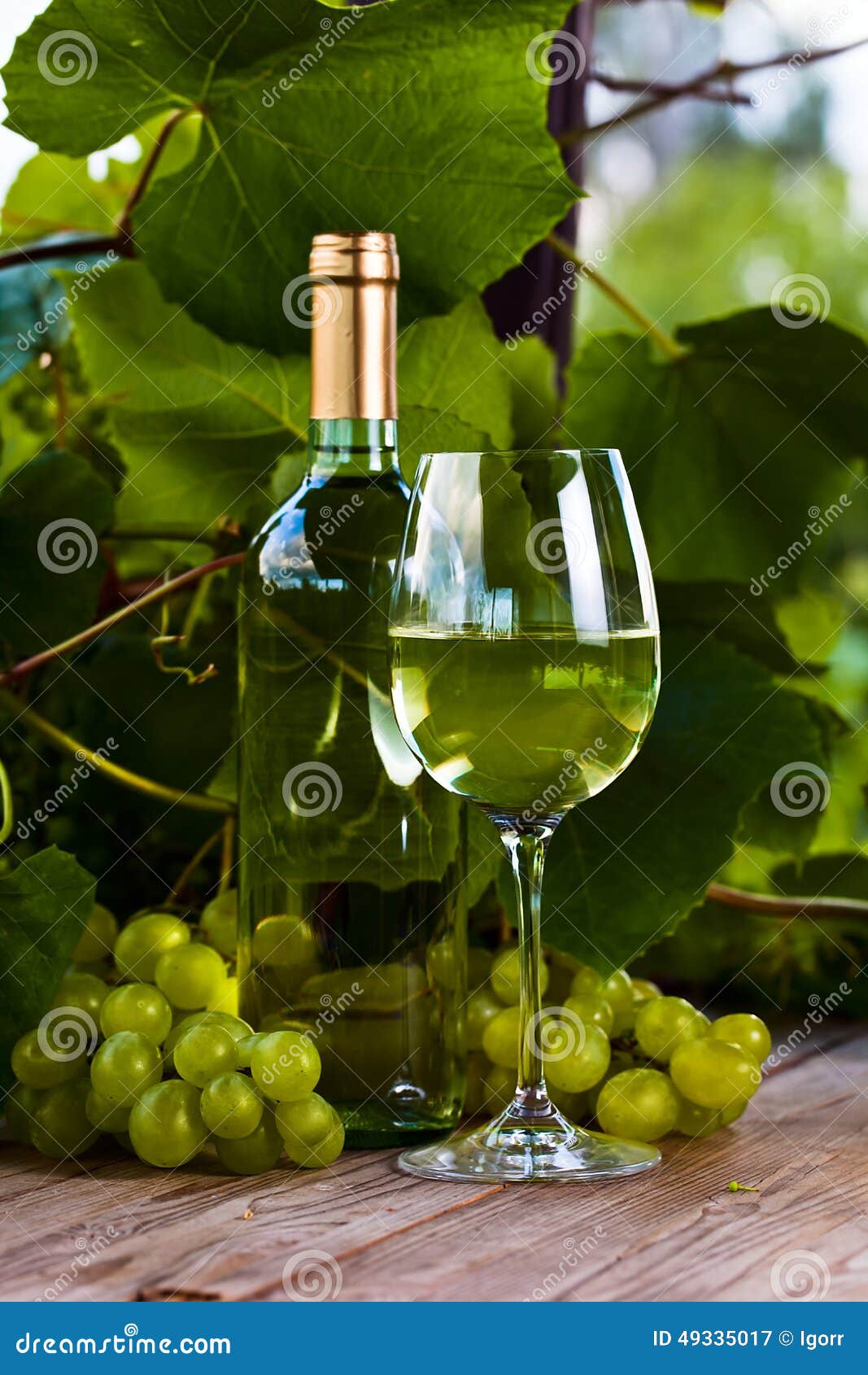 Druif En Witte Wijn in Wijngaard Stock Afbeelding - Image of seizoen ...