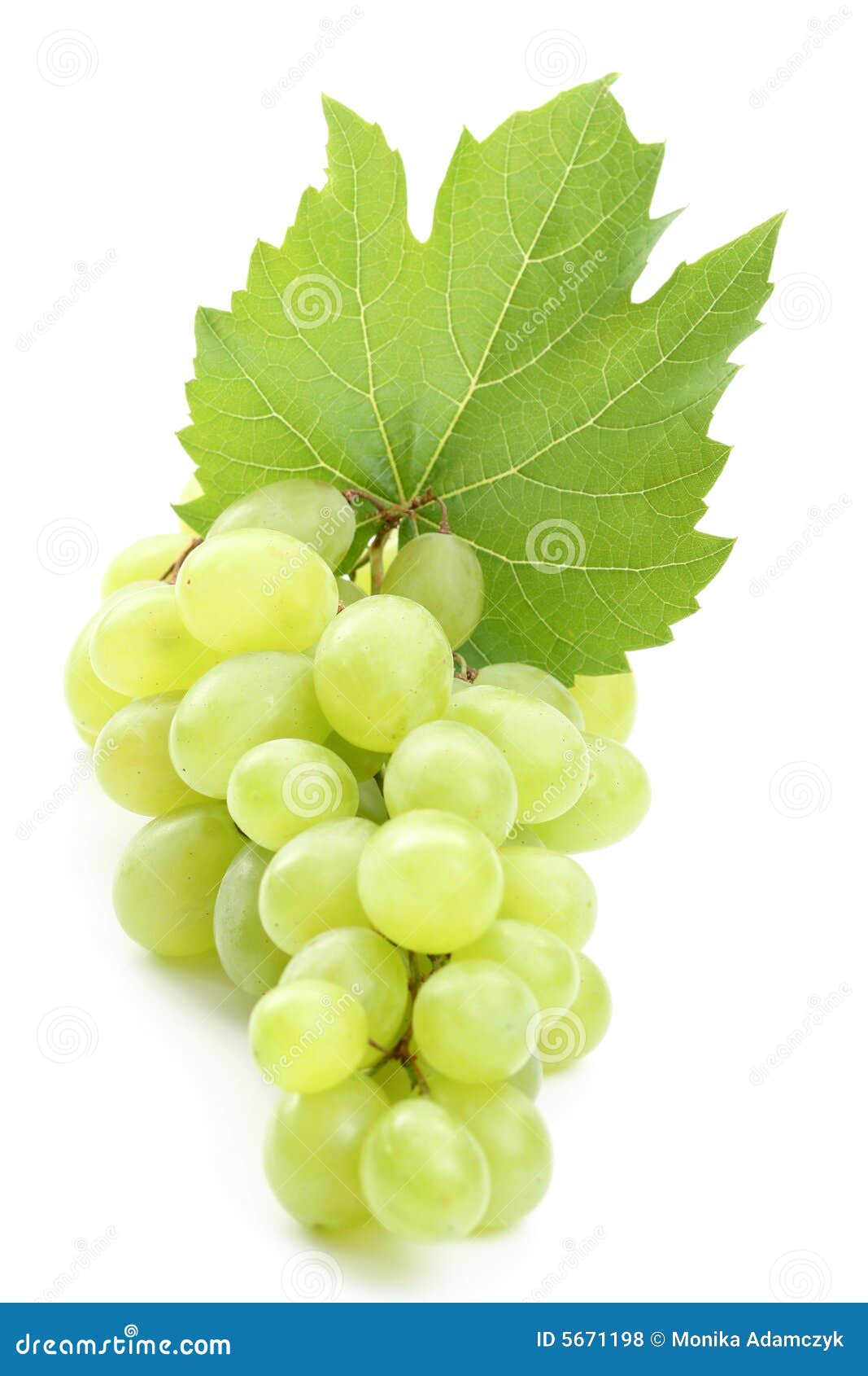 Druiven stock foto. Image of druif, nave, wijnstok, voeding - 5671198