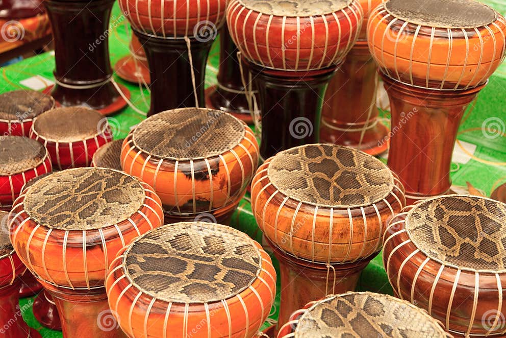 Drum Surface from Snake Skin Stock Photo - Image of background, leather ...