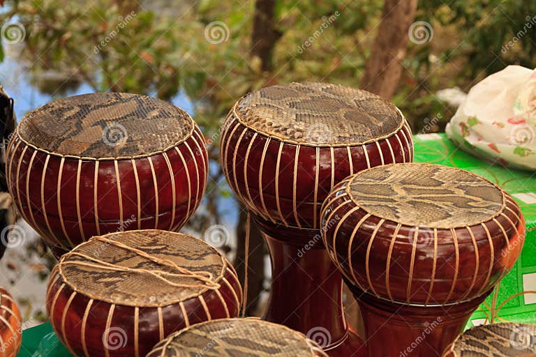 Drum Surface from Snake Skin Stock Photo - Image of background, ancient ...