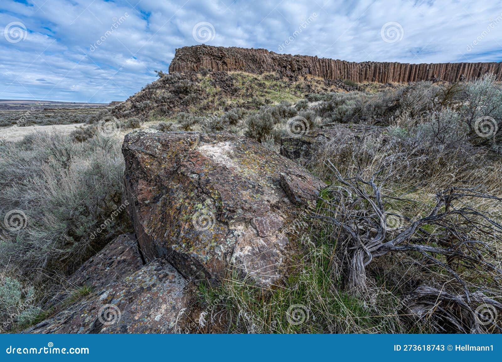 Drumheller Channel Basalt Columns Stock Image - Image of outdoors ...