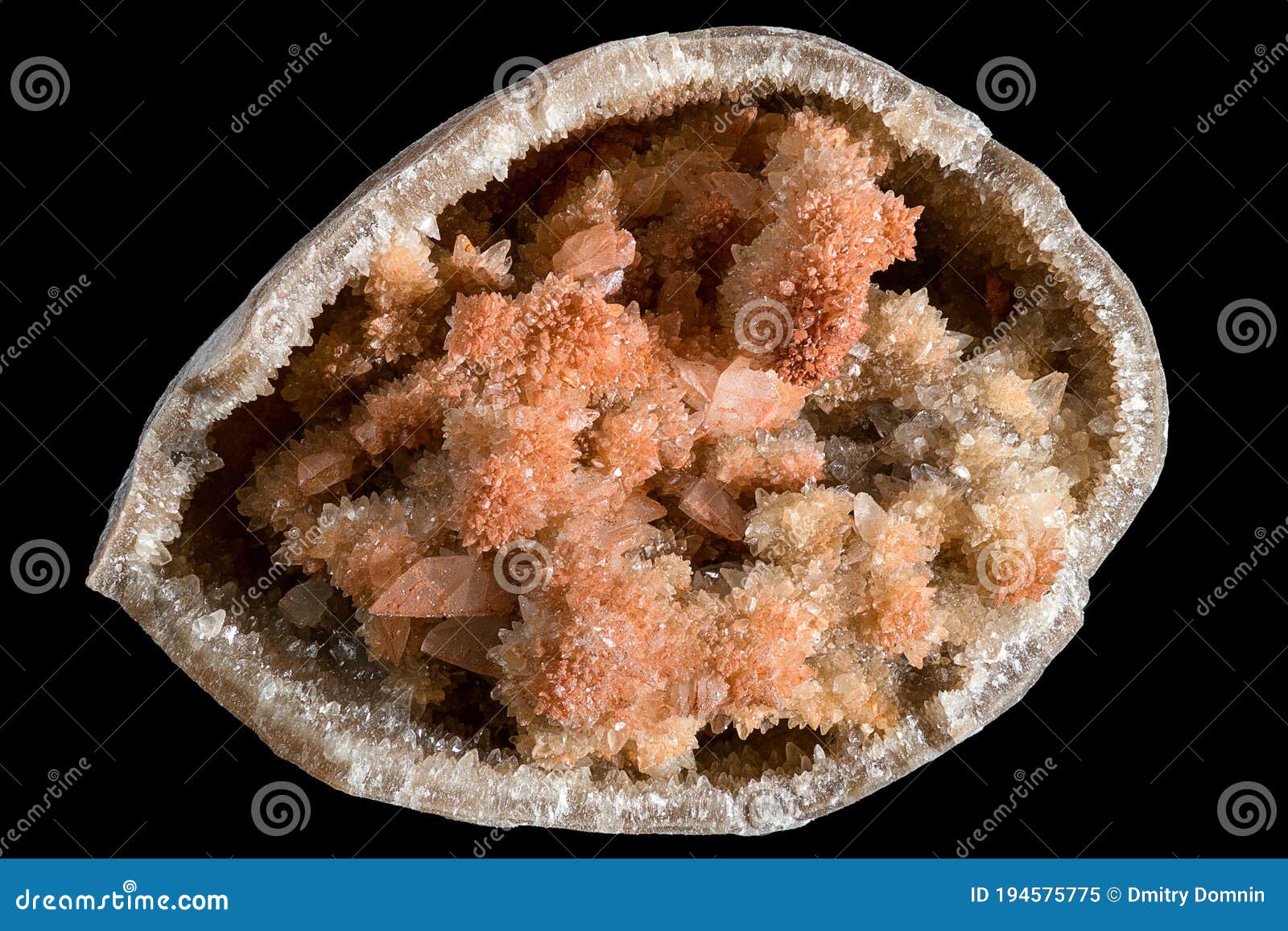 Druse of Orange Calcite Crystals Inside a Fossilized Shell Stock Image ...