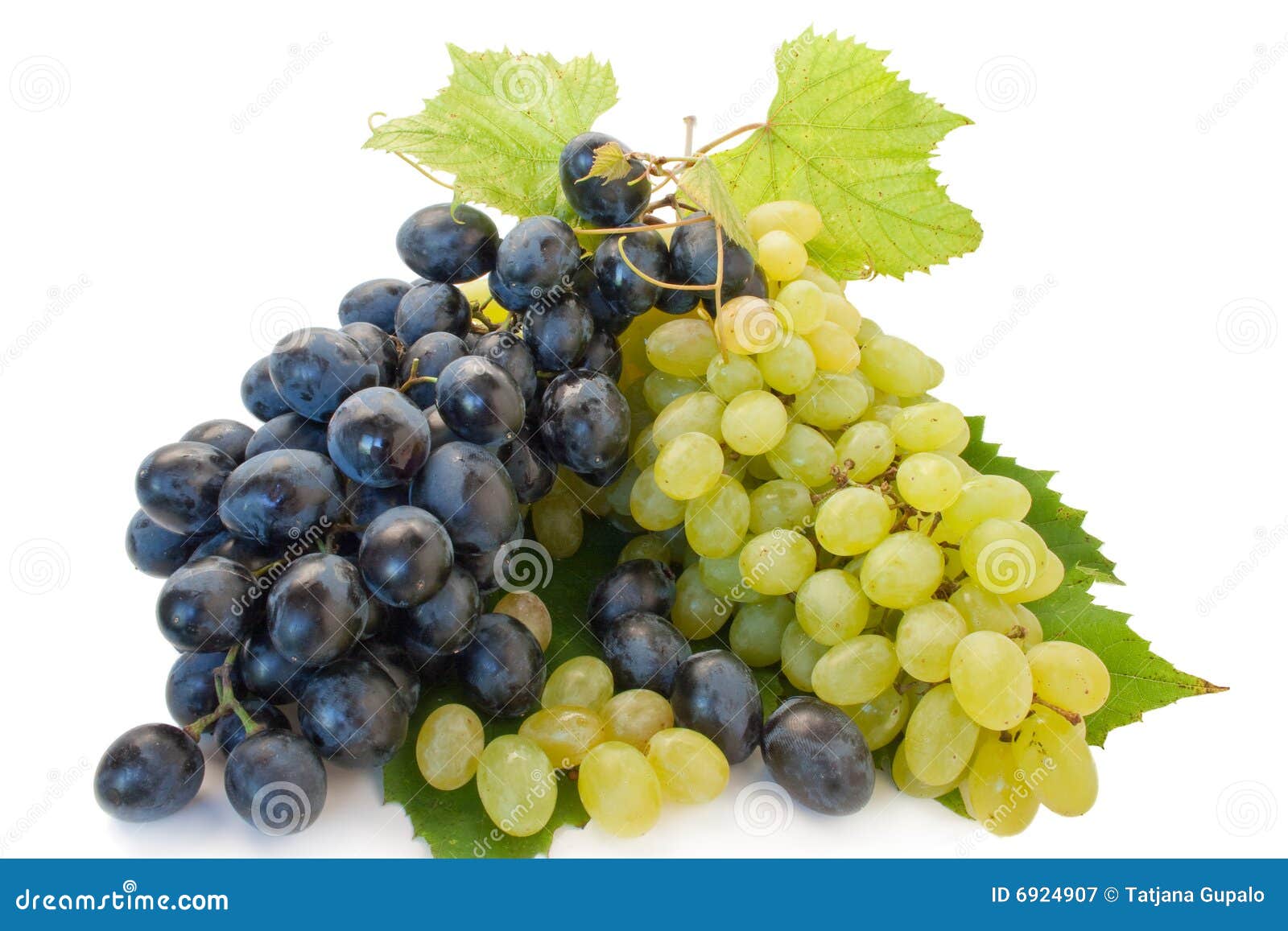 Druva fotografering för bildbyråer. Bild av moget, stängning - 6924907