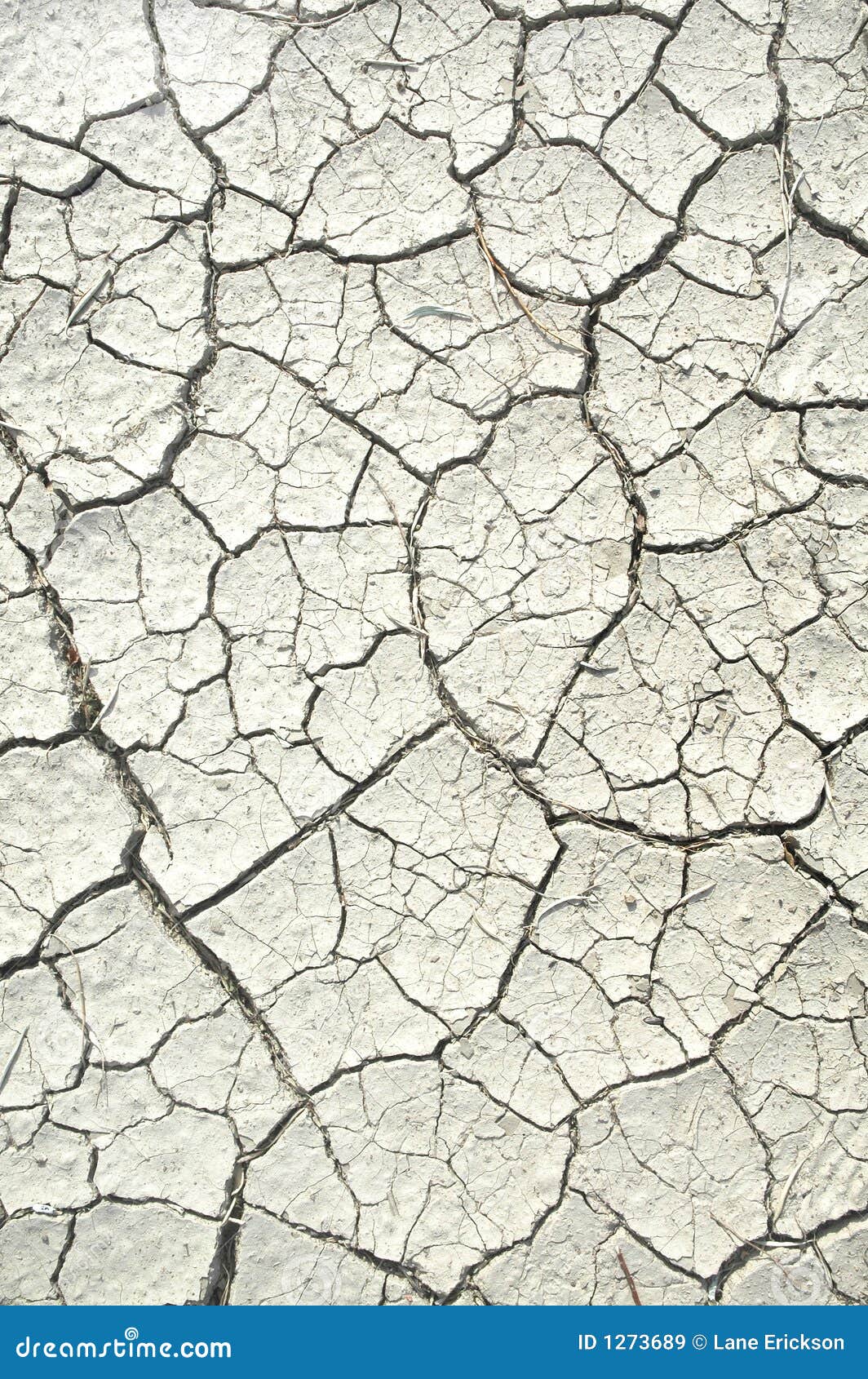 Dry stock image. Image of heat, cracked, photograph, desert - 1273689