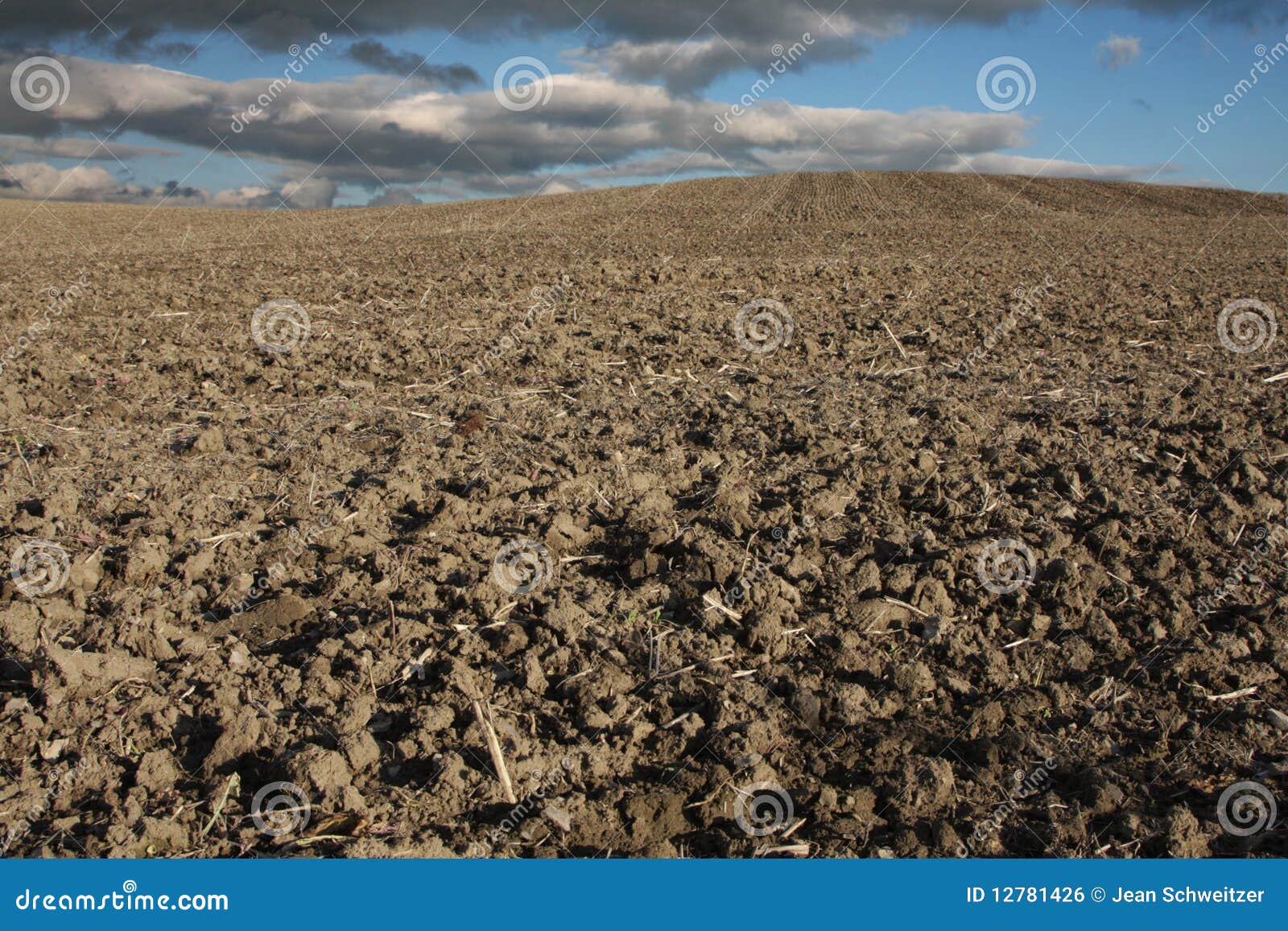 Dry stock photo. Image of summer, nice, cloud, sunny - 12781426