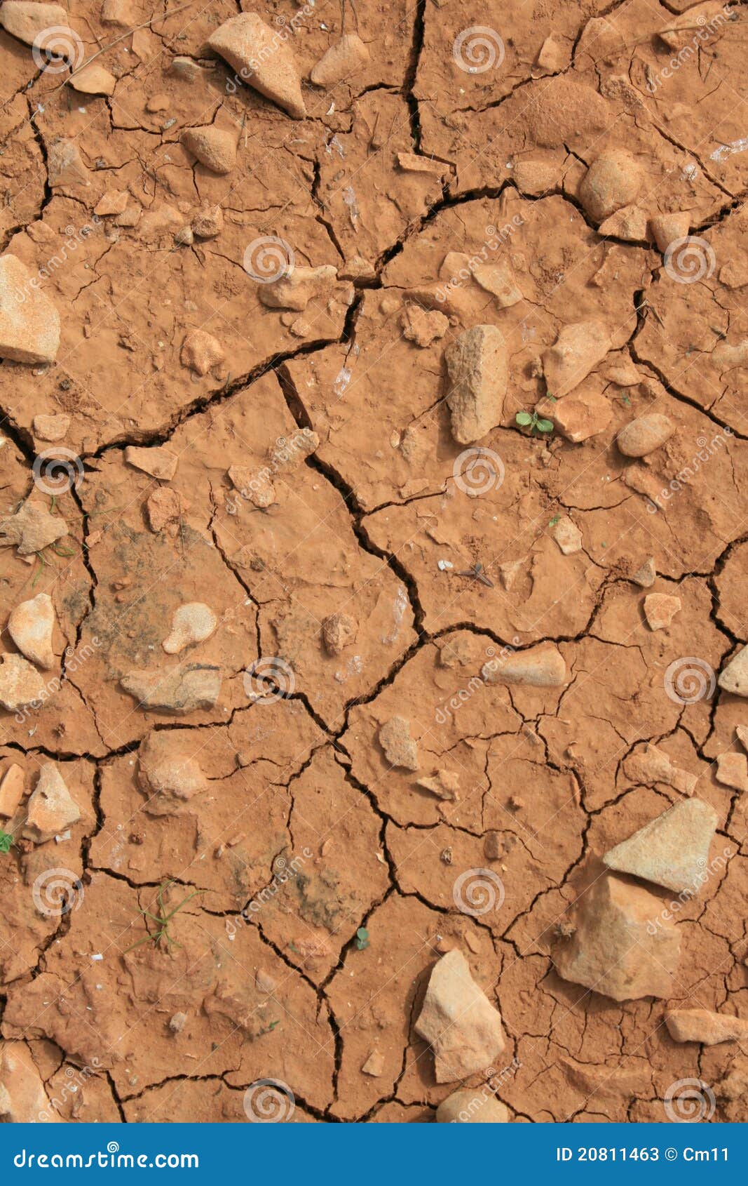 Dry stock image. Image of climate, nature, change, crack - 20811463