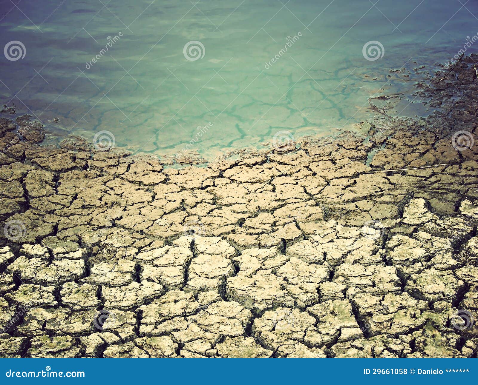 Dry stock photo. Image of pattern, water, nature, environment - 29661058