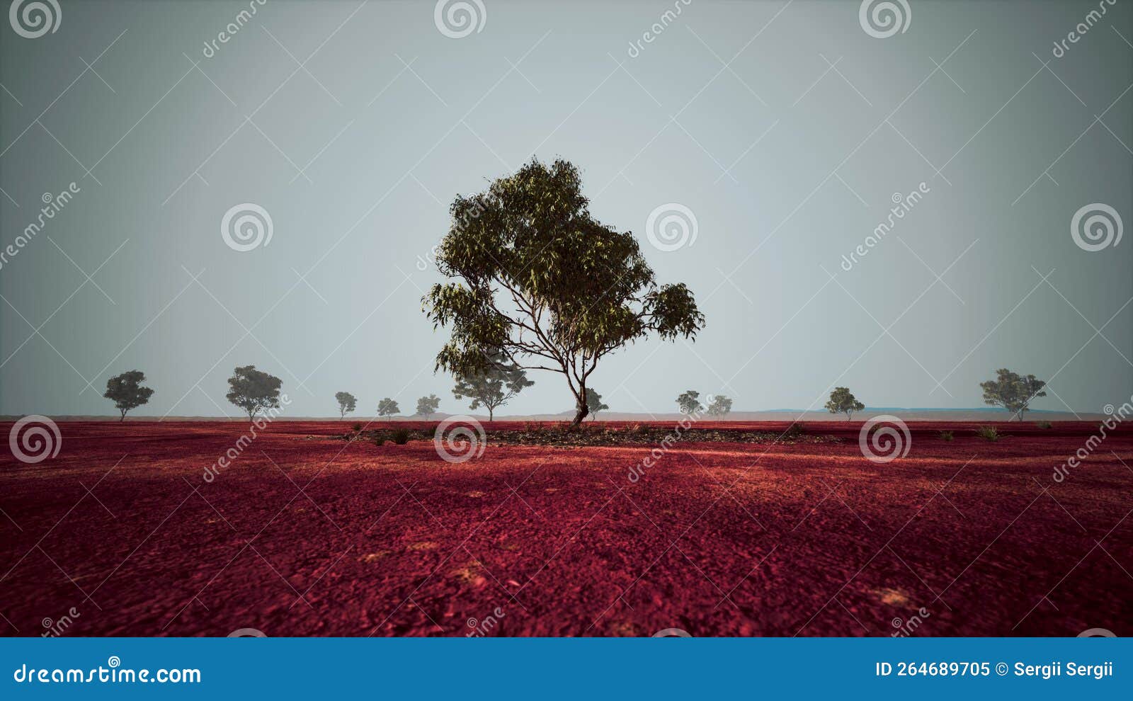 Dry African Savannah with Trees Stock Image - Image of scenery, namibia ...