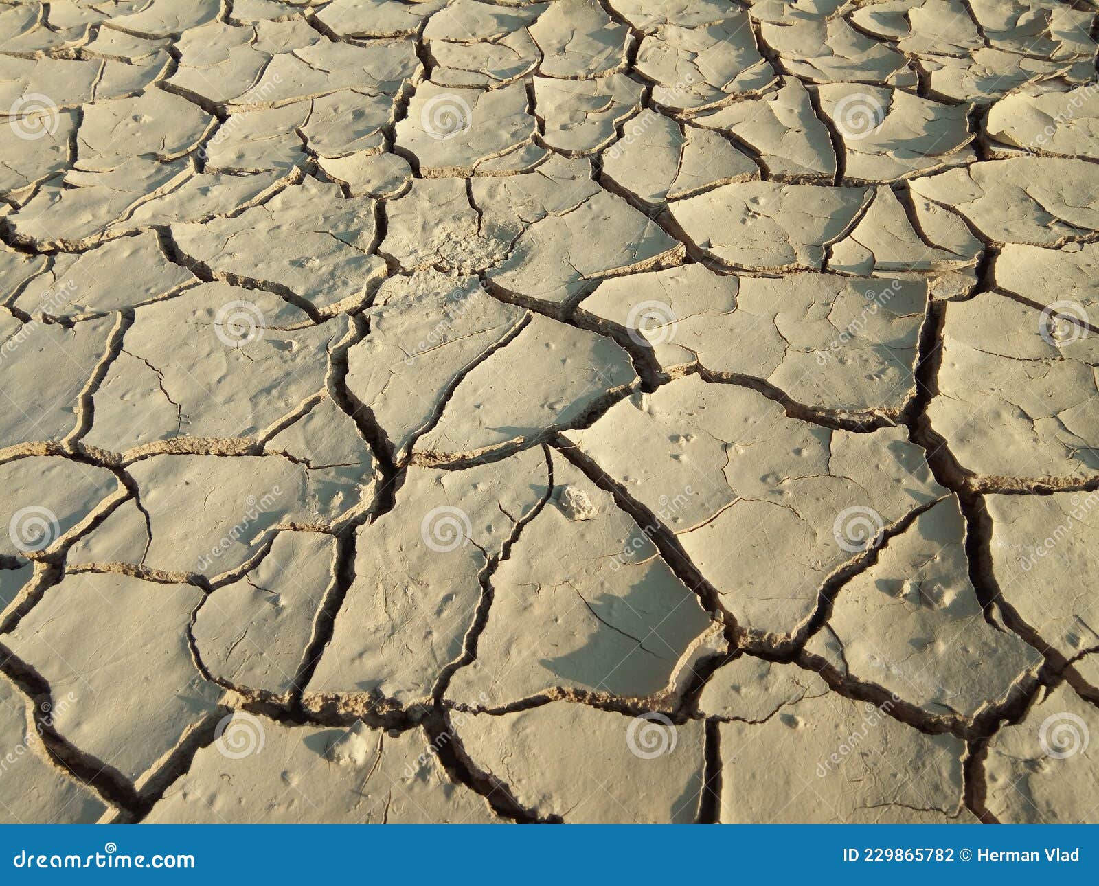Dry and Arid Land - Close Up Stock Photo - Image of dryness, arid ...