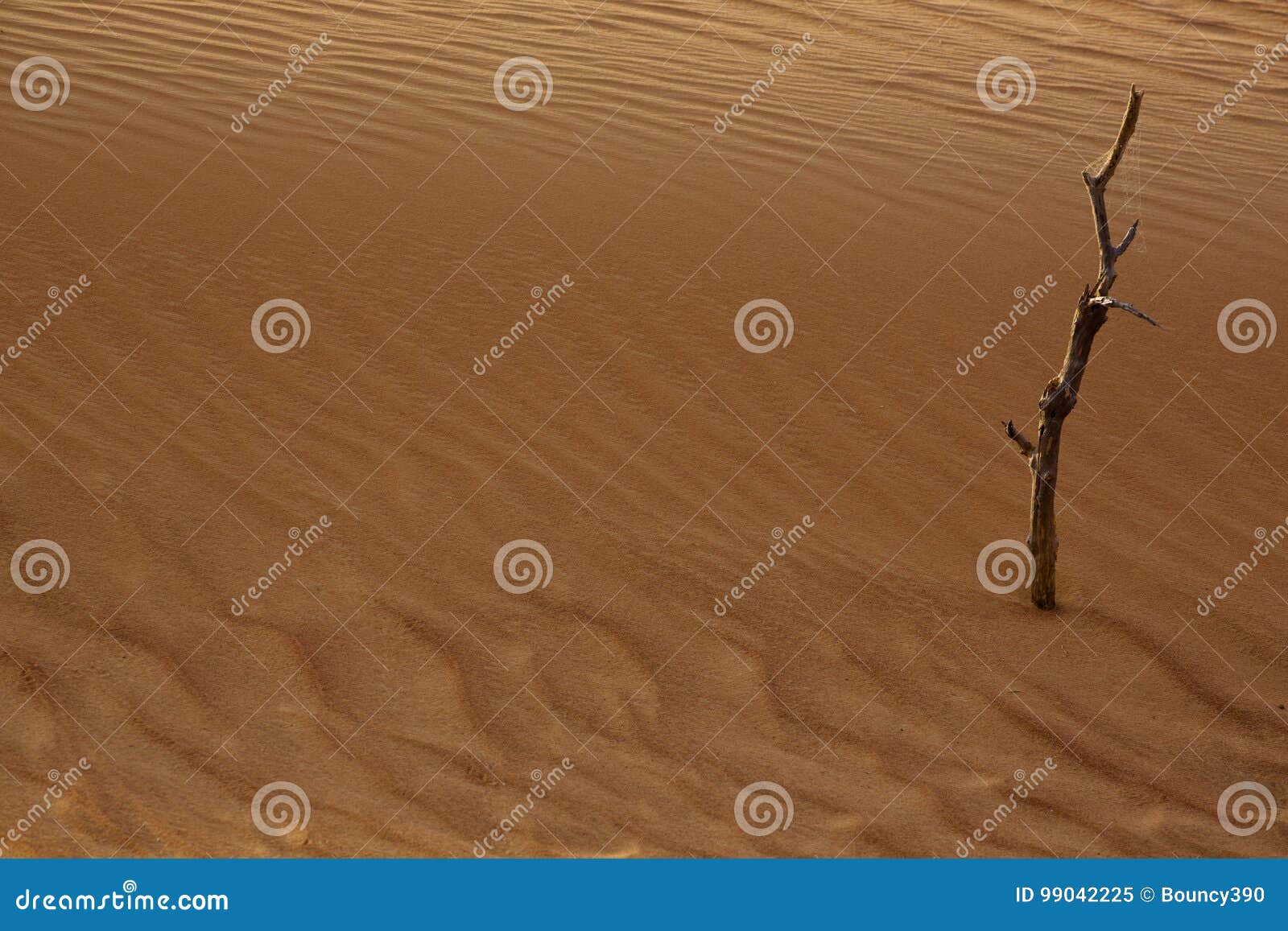 Dry arid land stock image. Image of wallpaper, desolate - 99042225
