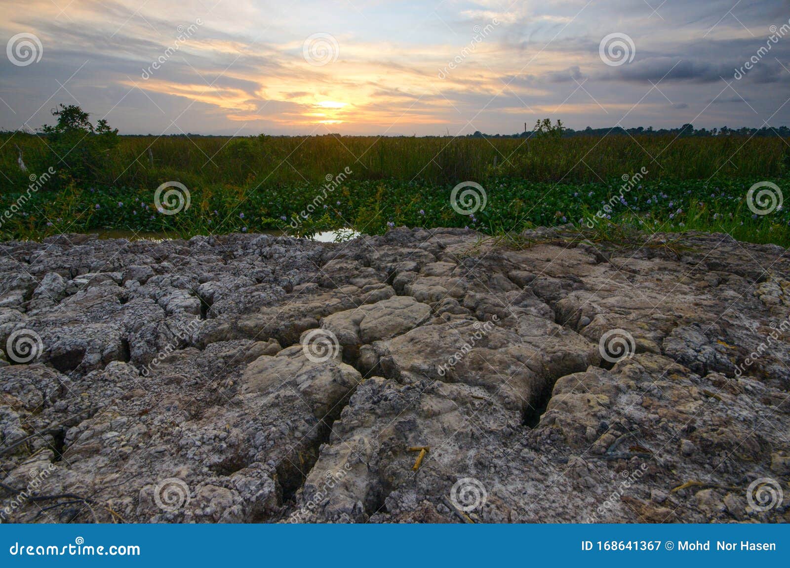 Dry and Arid Land with Failed Crops Due To Climate Change and Global ...