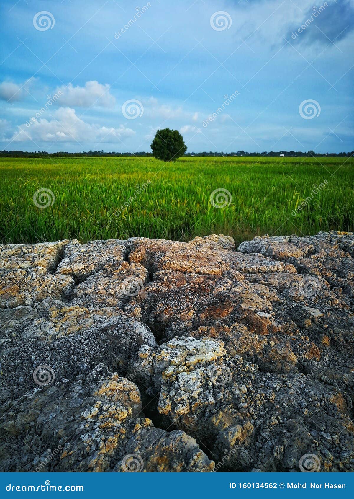 Dry and Arid Land with Failed Crops Due To Climate Change and Global ... Dry and Arid Land with Failed Crops Due To Climate Change and Global ...