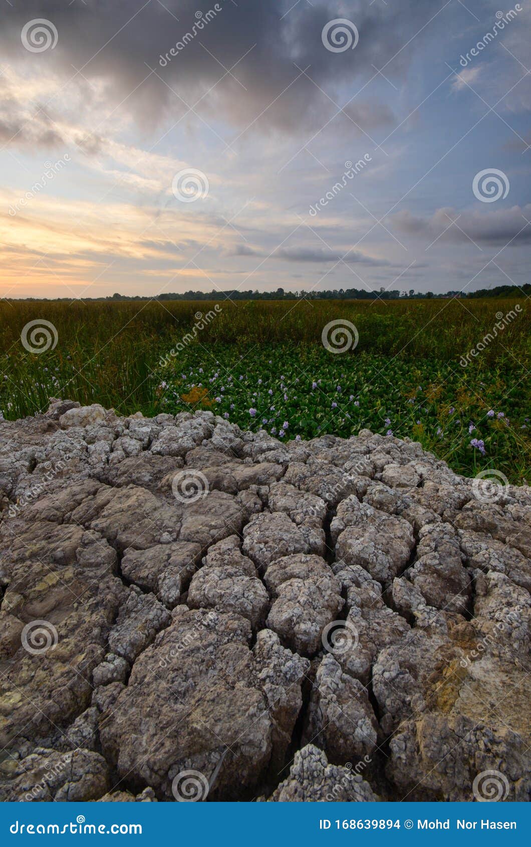Dry and Arid Land with Failed Crops Due To Climate Change and Global ... Dry and Arid Land with Failed Crops Due To Climate Change and Global ...