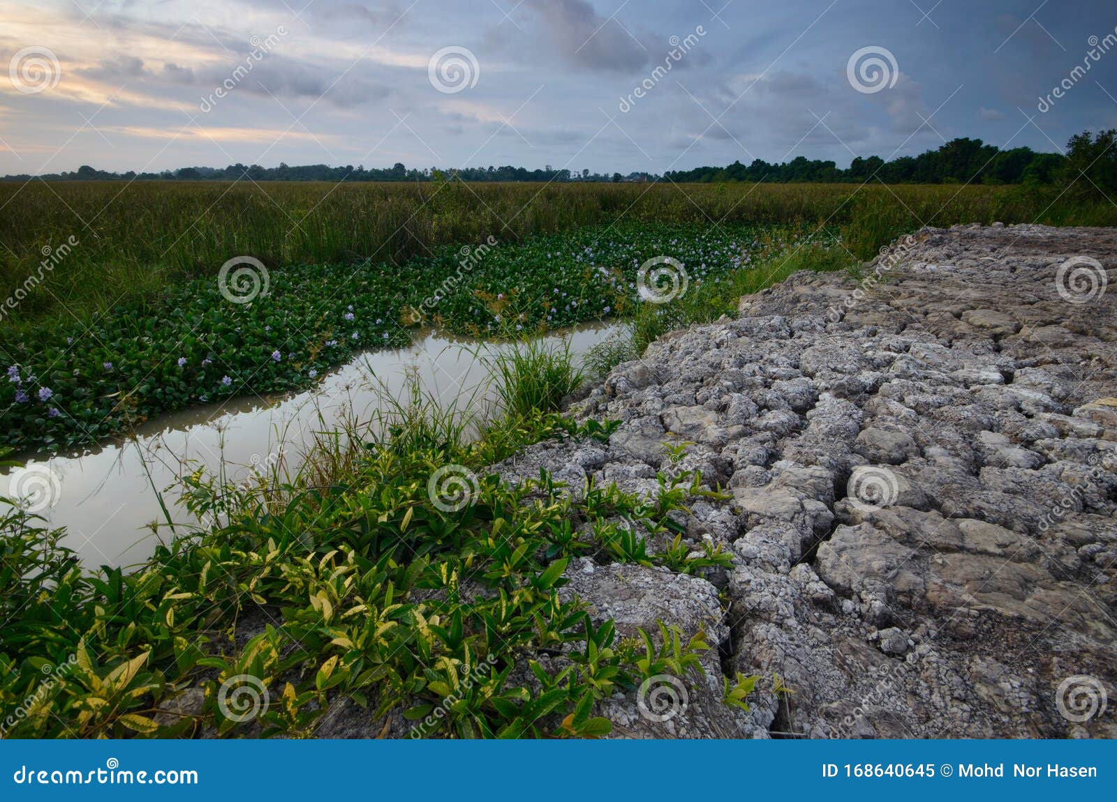 Dry and Arid Land with Failed Crops Due To Climate Change and Global ... Dry and Arid Land with Failed Crops Due To Climate Change and Global ...
