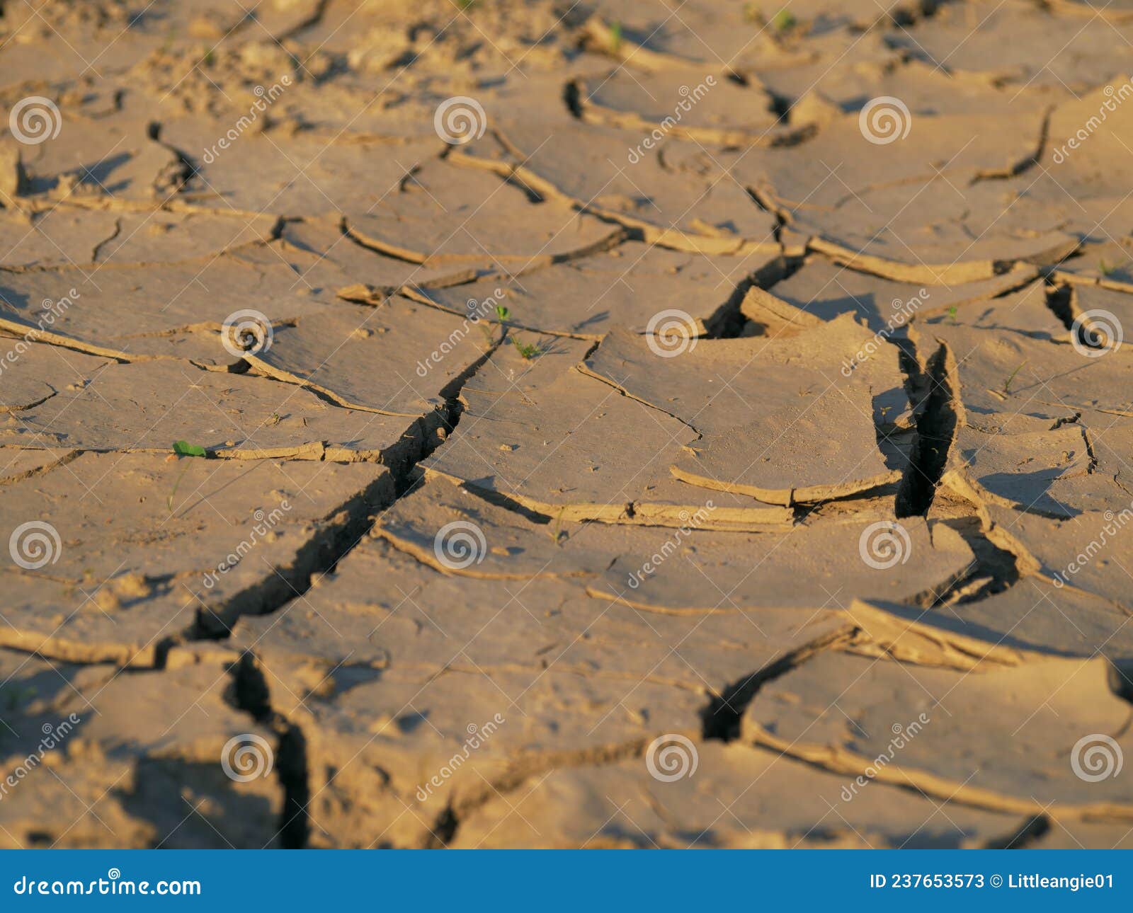 Dry Arid Land in Summer after Heat Wave Stock Image - Image of season ...