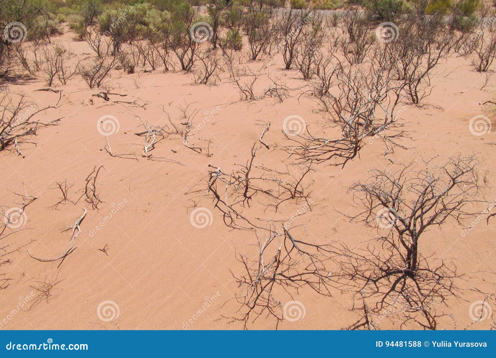 Dry arid landscape stock photo. Image of sand, color - 94481588
