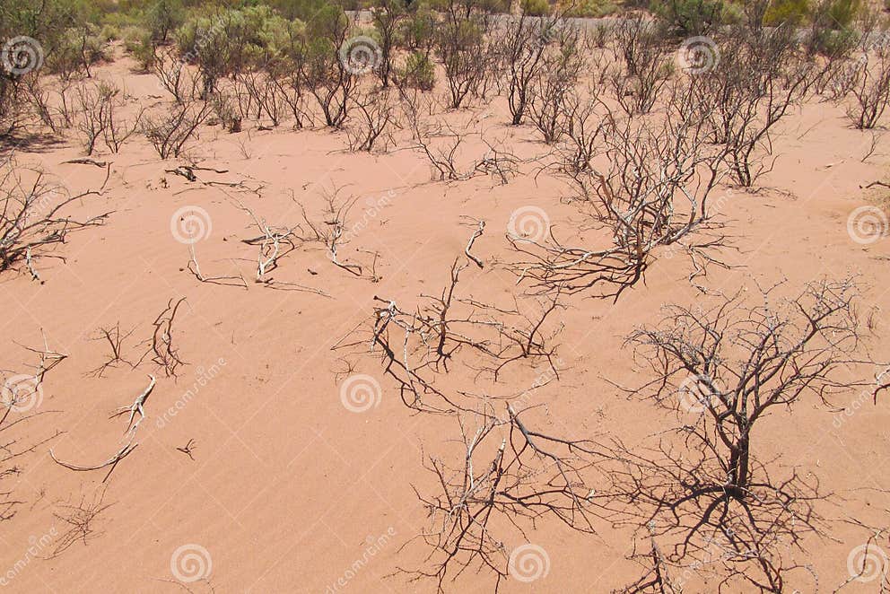Dry arid landscape stock photo. Image of sand, color - 94481588