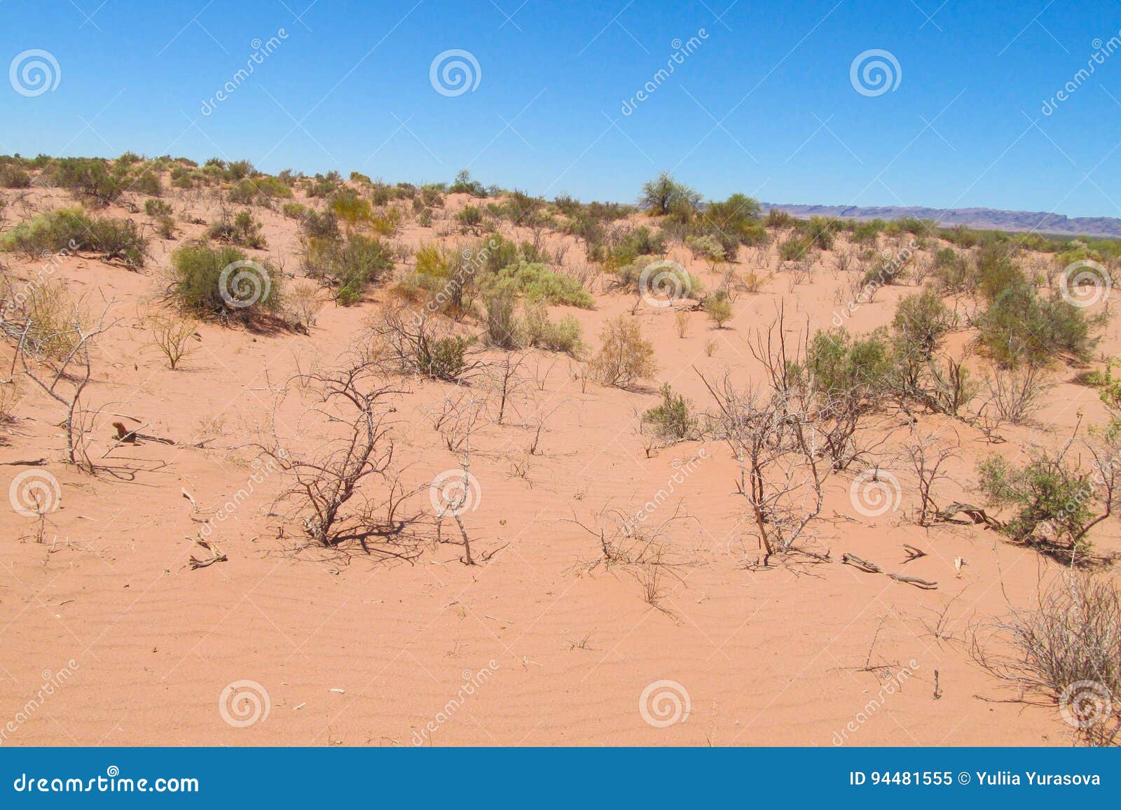 Dry arid red sand desert stock image. Image of arid, bush - 94481555