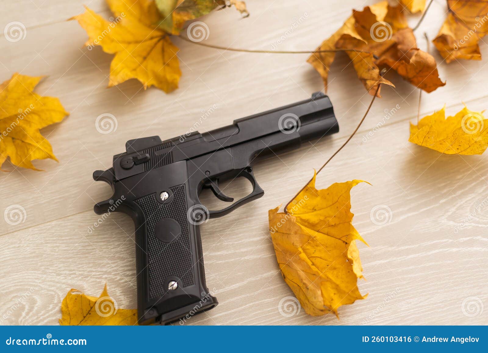 Dry autumn leaves and gun stock photo. Image of armory - 260103416