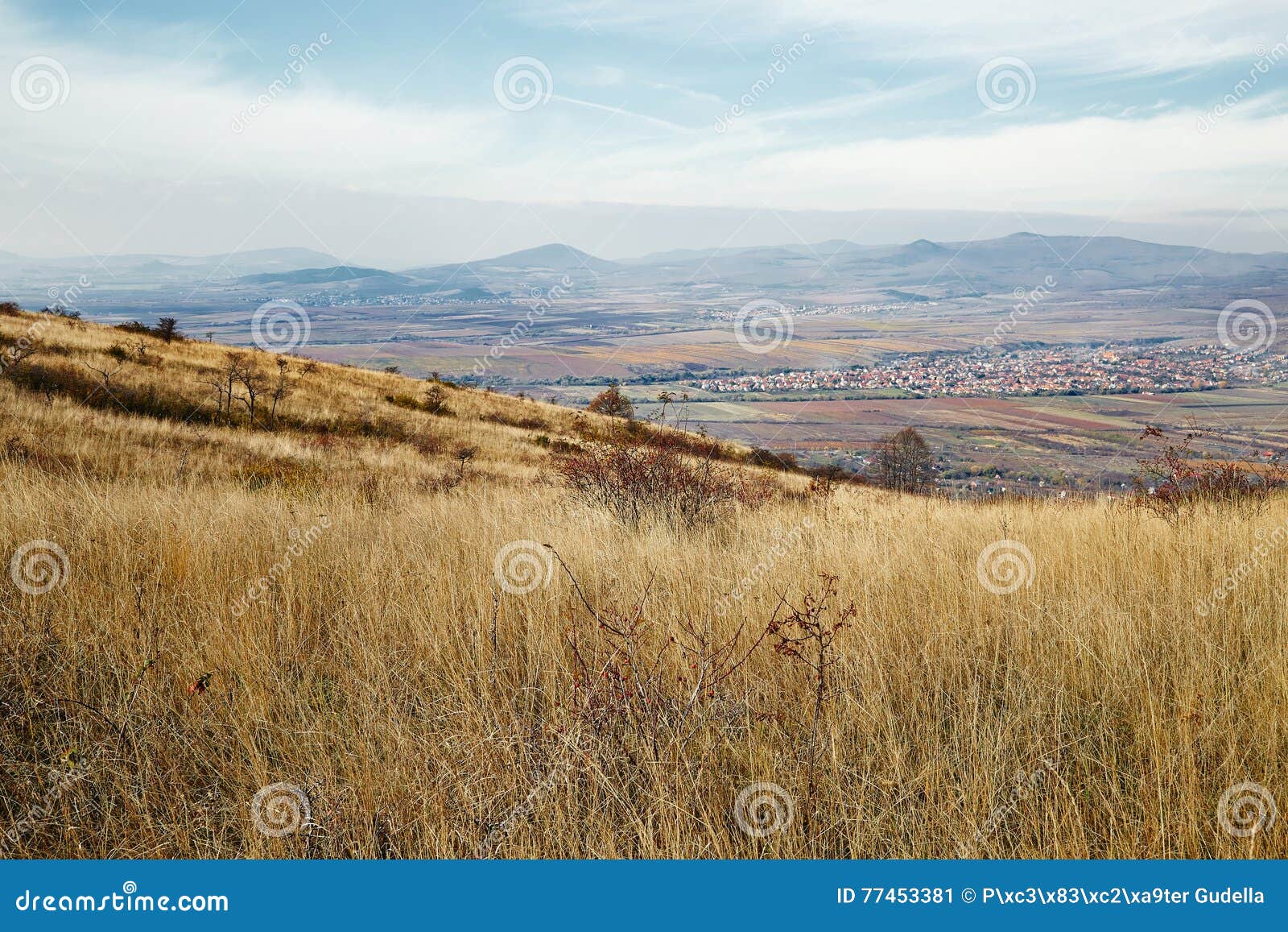 Dry autumn meadow stock image. Image of landscape, barren - 77453381