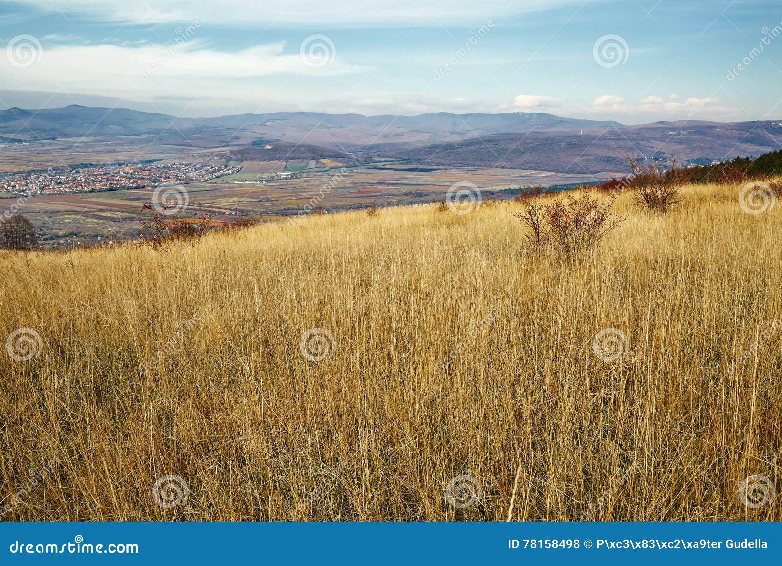 Dry autumn meadow stock photo. Image of bush, country - 78158498