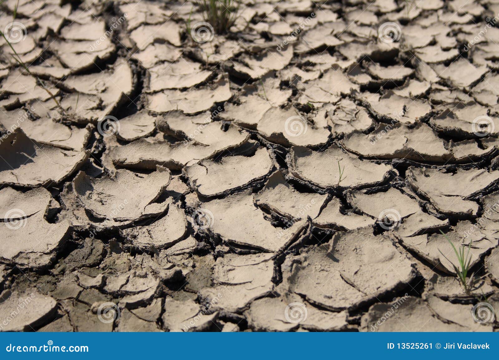 Dry background stock image. Image of dirty, fissure, outdoor - 13525261