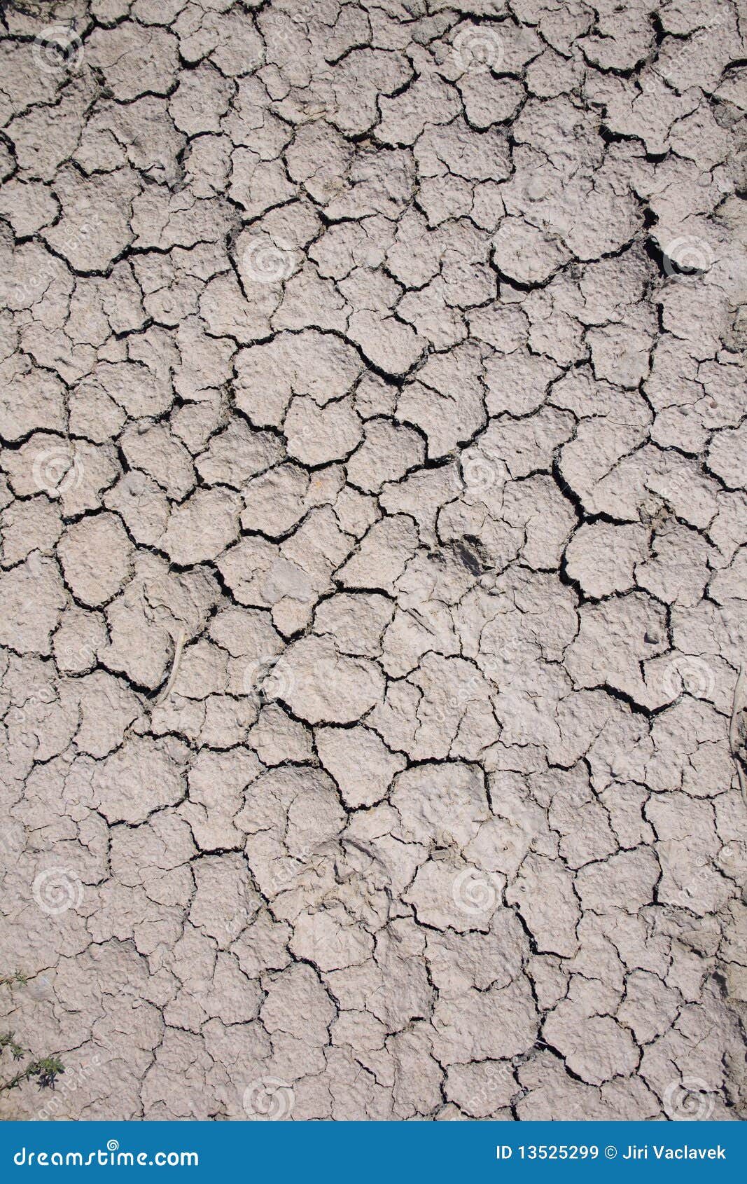 Dry background stock image. Image of background, environment - 13525299