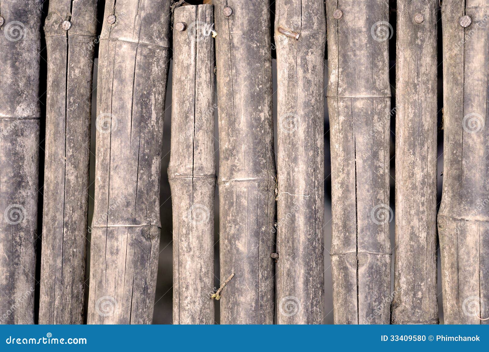 Dry bamboo stock photo. Image of piece, pattern, bamboo - 33409580