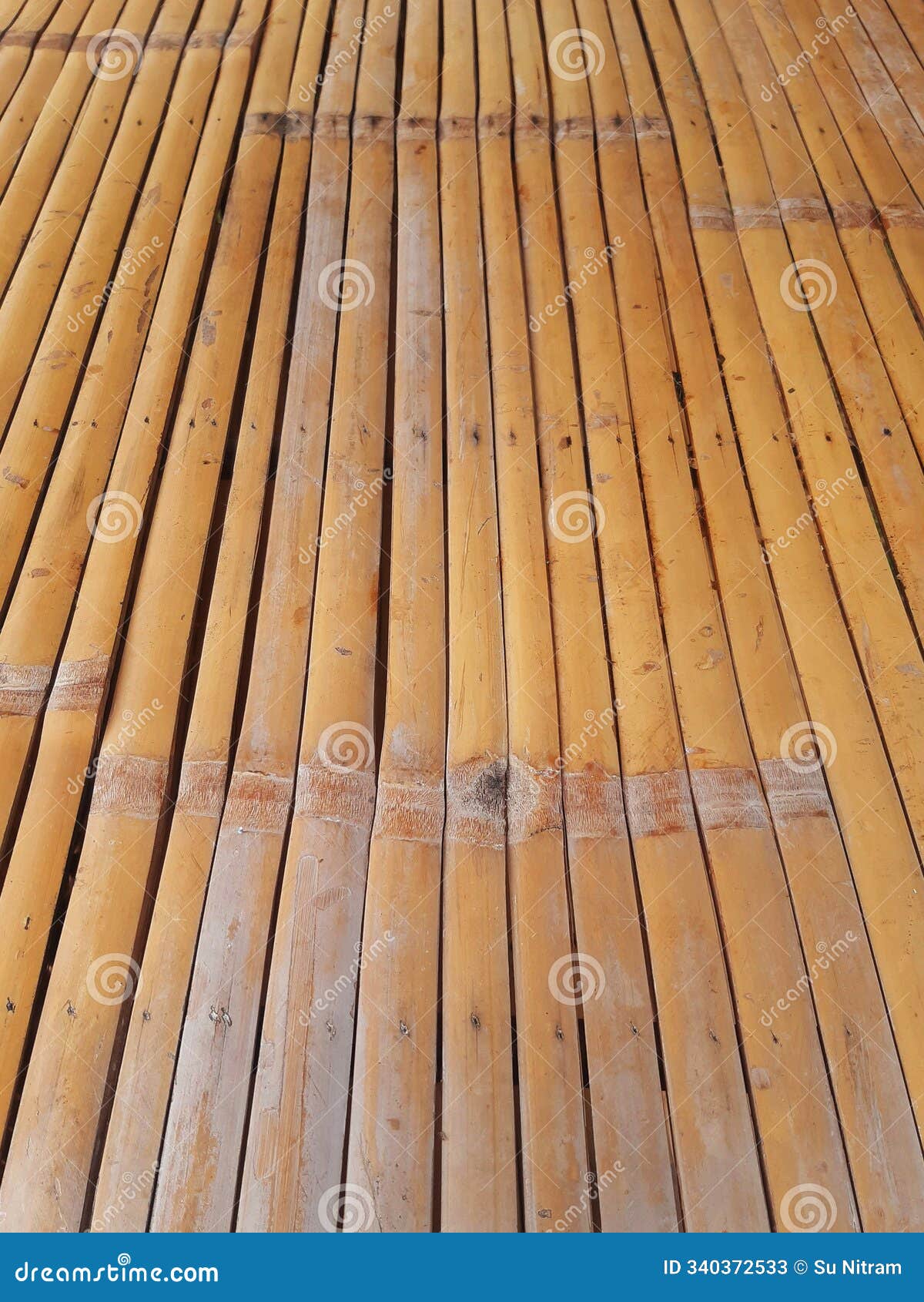Dry Bamboo Background. Close Up Wood Planks Texture. Perspective View ...