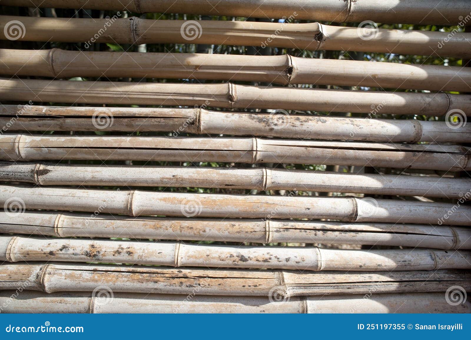 Dry bamboo cane fence stock image. Image of texture - 251197355