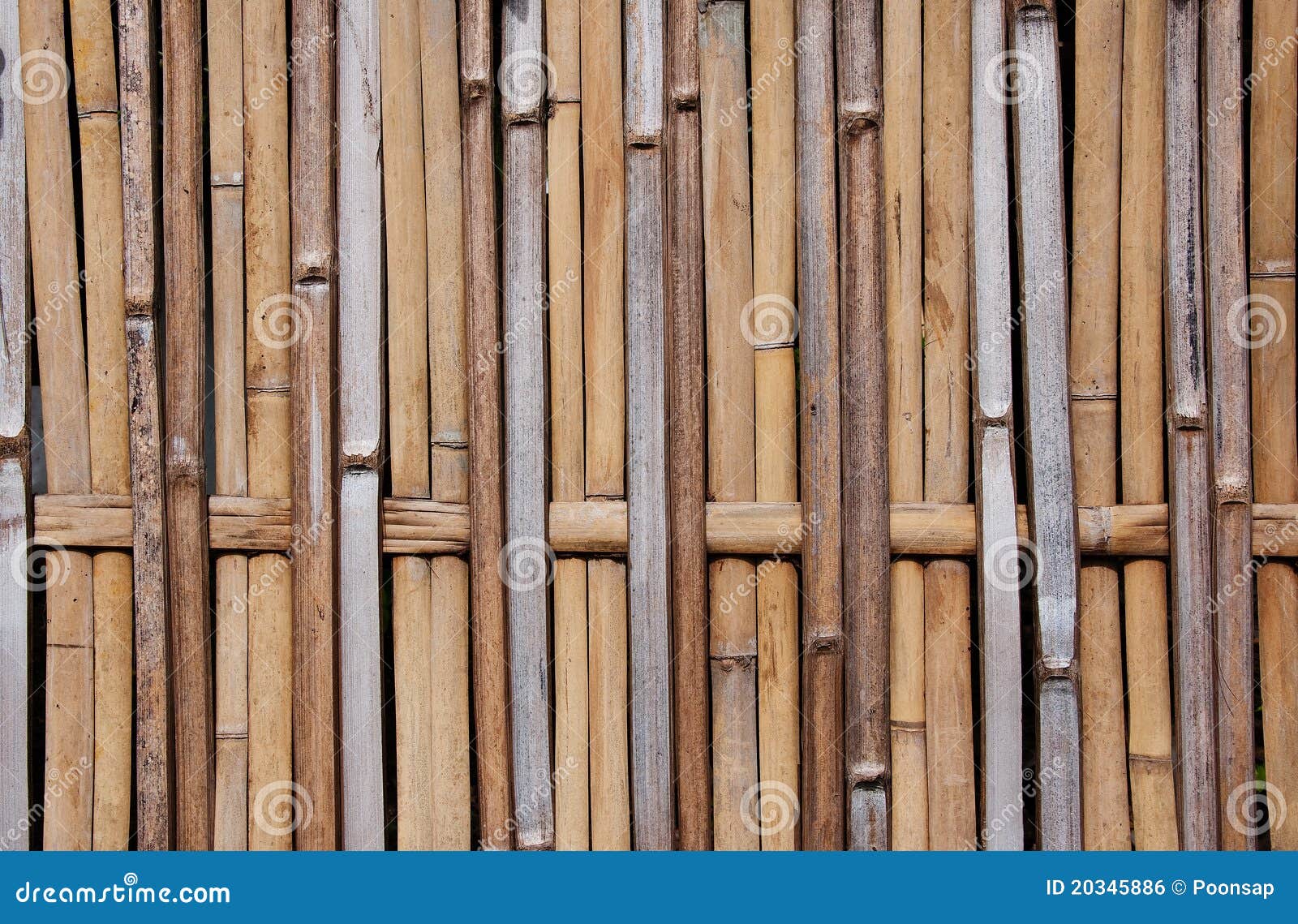 Dry bamboo pattern stock photo. Image of pattern, background - 20345886