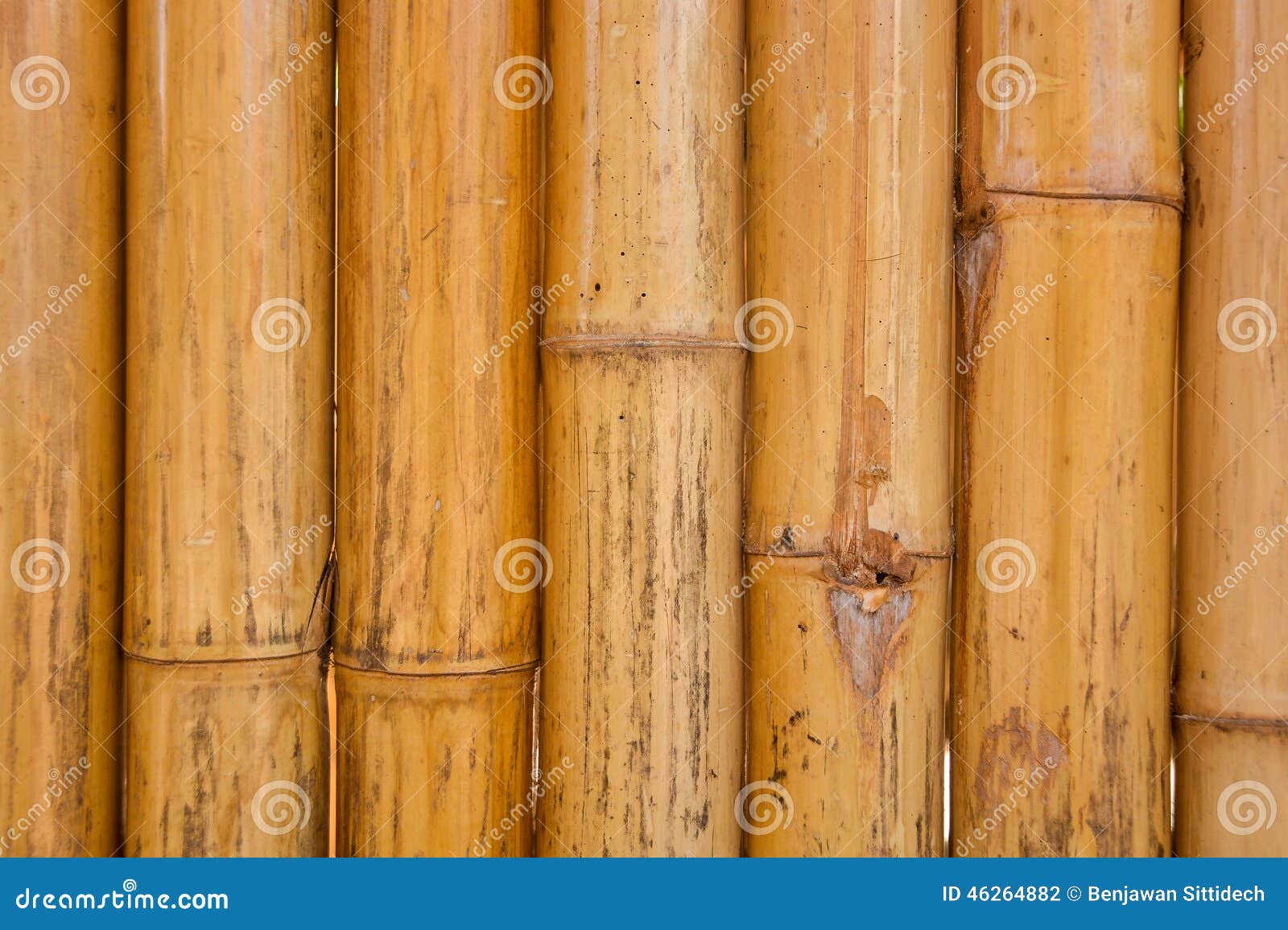 Dry Bamboo pole pattern stock photo. Image of yellow - 46264882