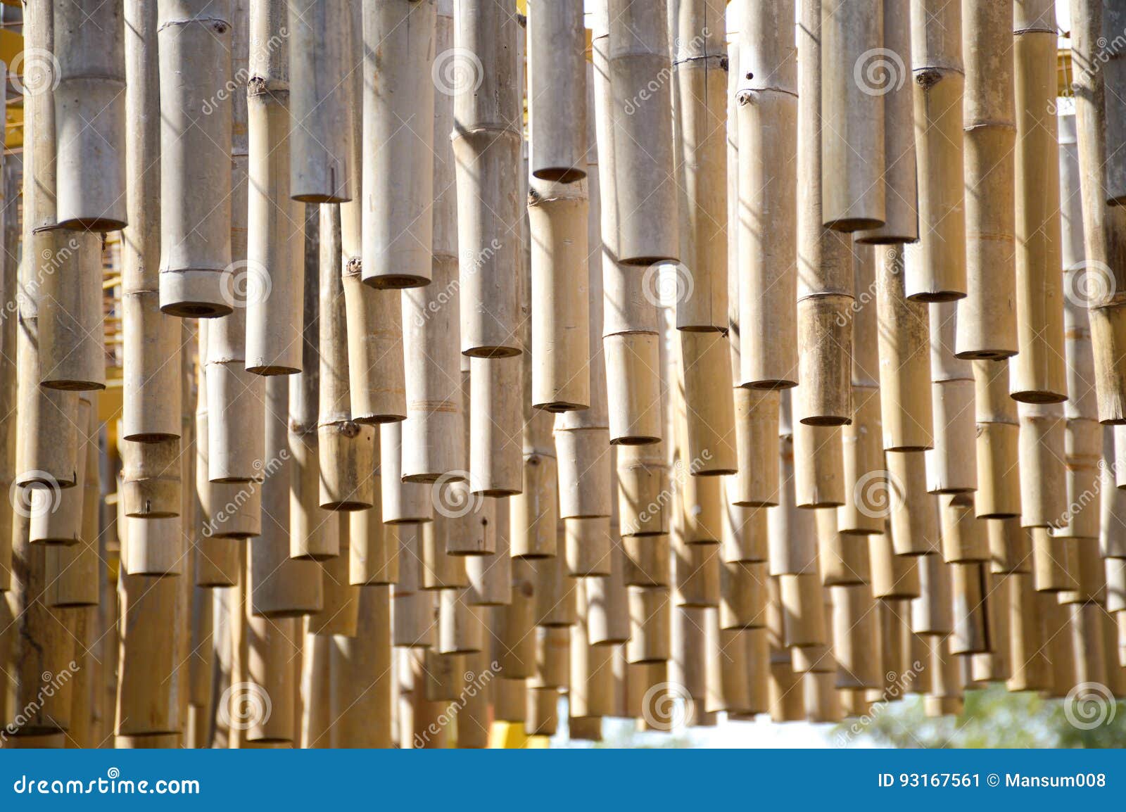 Dry Bamboo Section is Rowing on the Frame Outside the Countryside Farm ...
