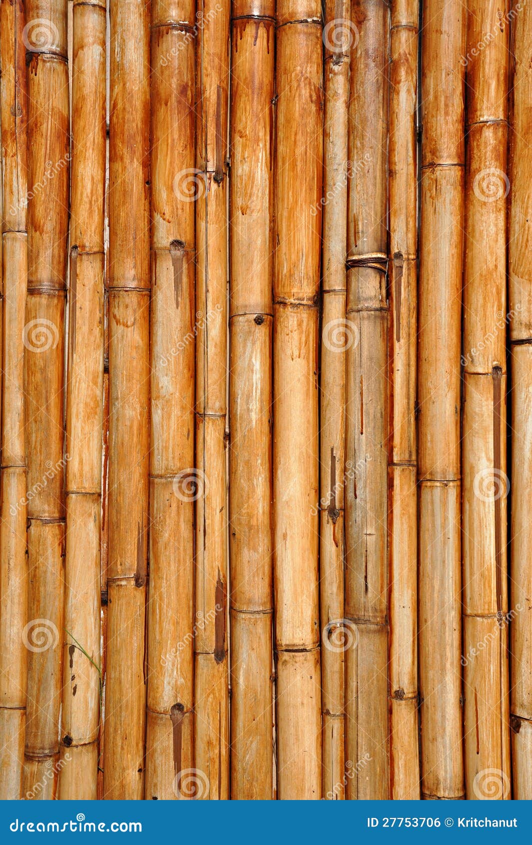 Dried Bamboo Sticks