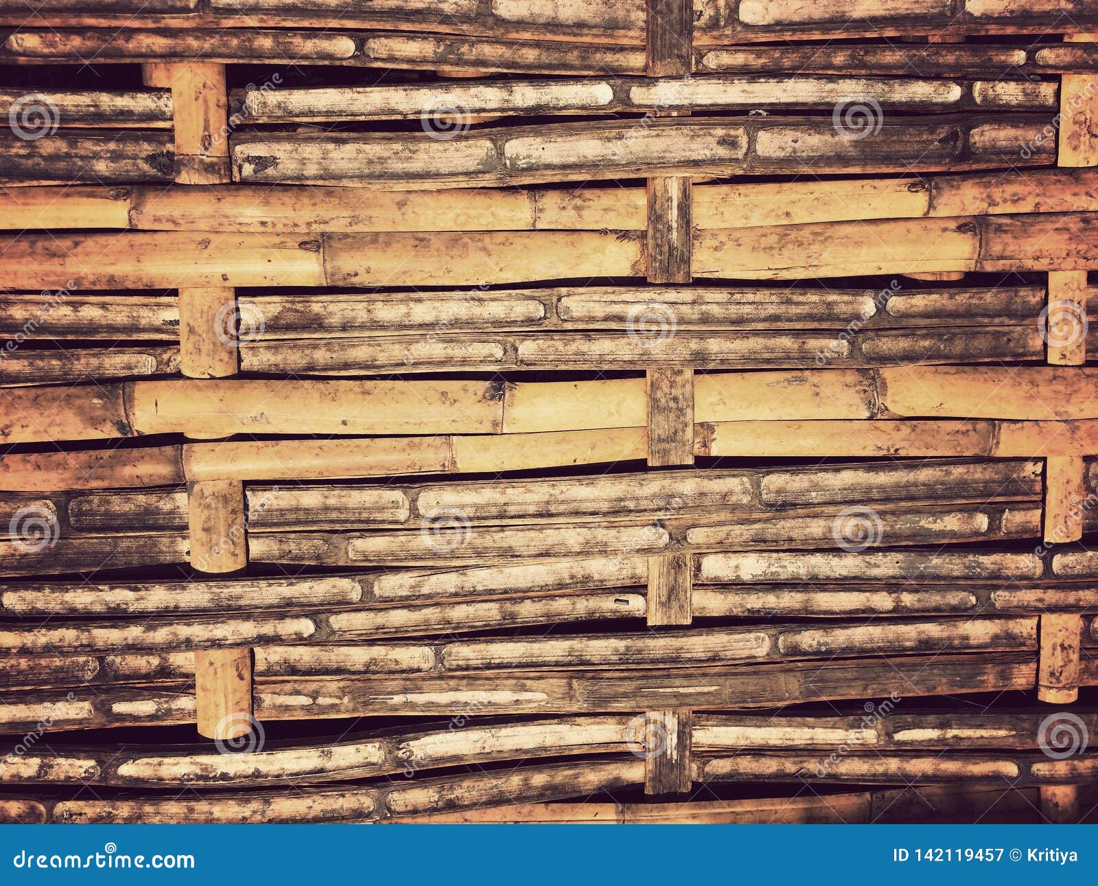 Dry Bamboo Texture Background Wall with Natural Patterns for Vintage ...