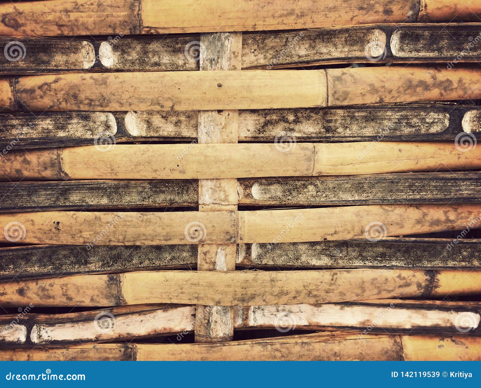 Dry Bamboo Texture Background Wall with Natural Patterns for Vintage ...