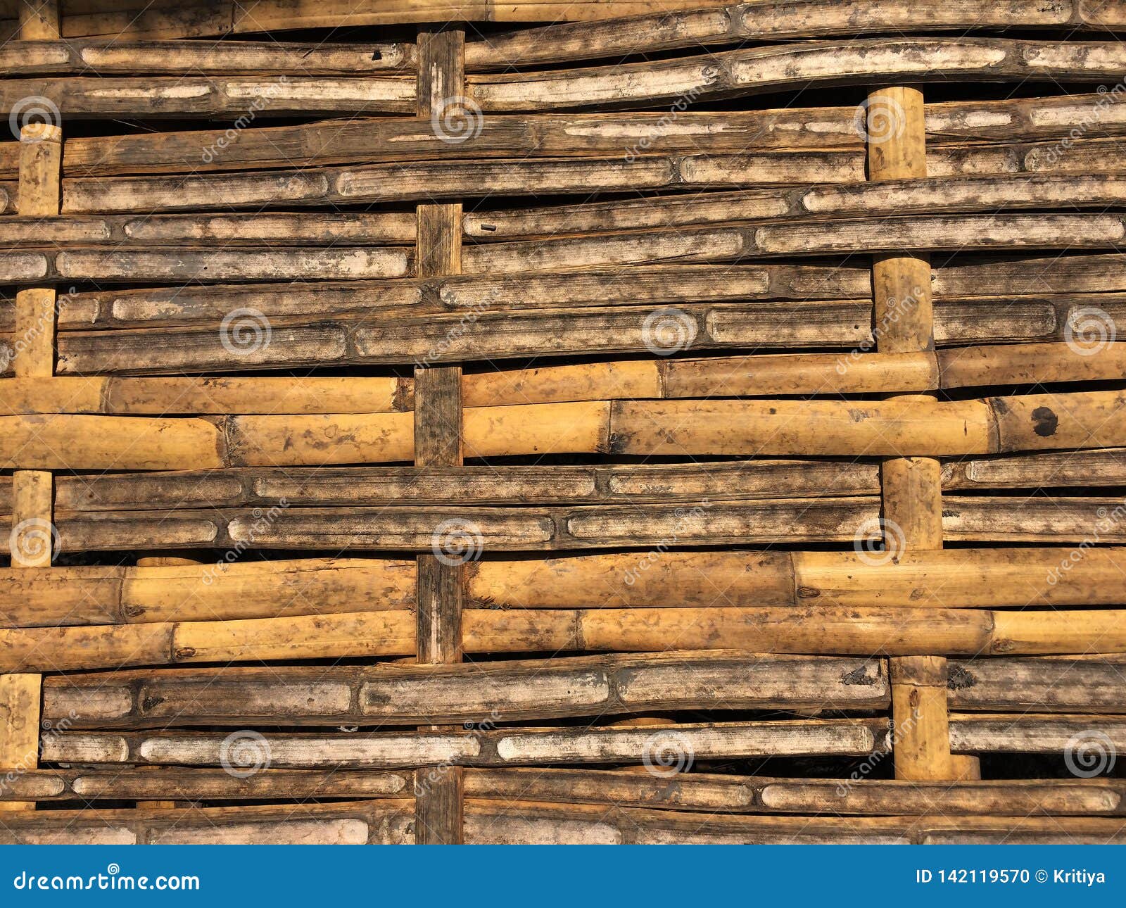 Dry Bamboo Texture Background Wall with Natural Patterns for Wallpaper ...