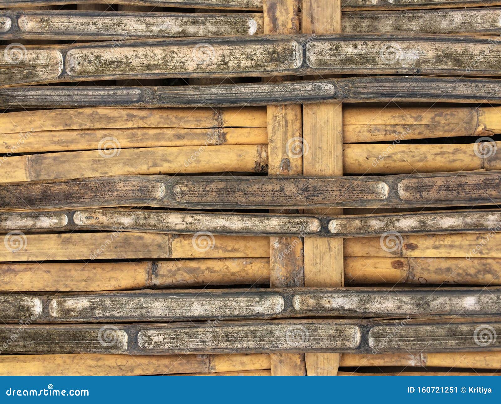 Dry Bamboo Texture Background Wall with Natural Patterns for Wallpaper ...