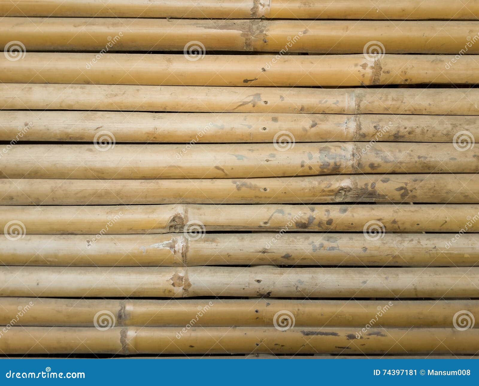 Dry bamboo wall texture stock image. Image of brown, vintage - 74397181