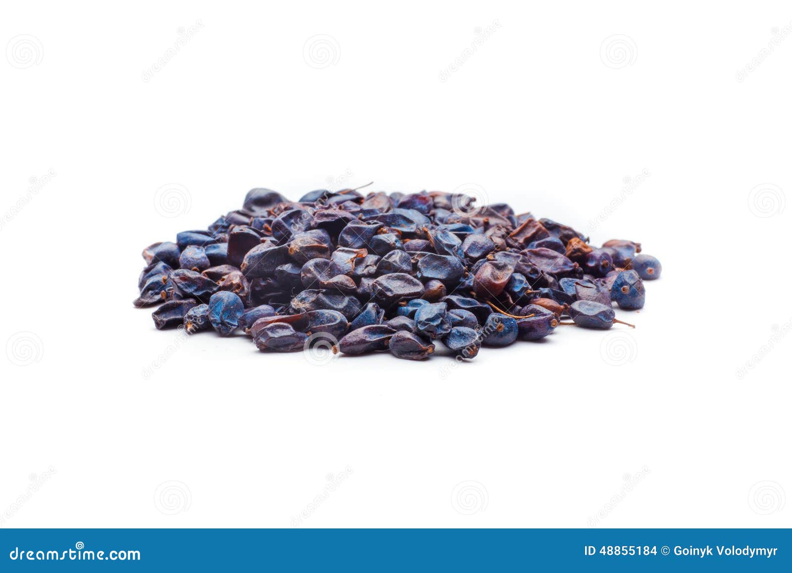 Dry barberry spices stock photo. Image of gray, fresh - 48855184