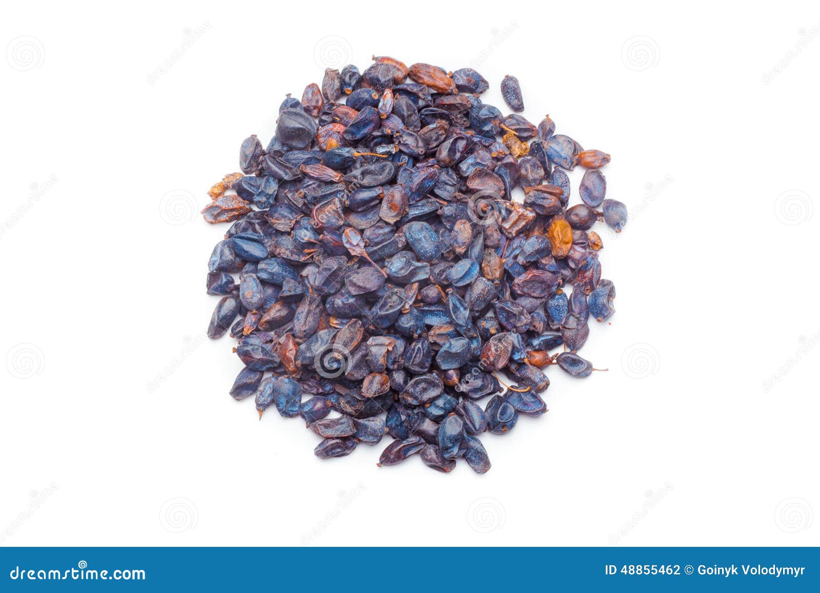 Dry barberry spices stock photo. Image of east, indian - 48855462