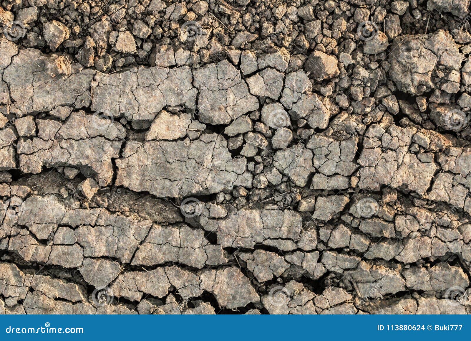Dry Barren Scorched Soil Cracked Fragmented Rough Desolate Grunge ...